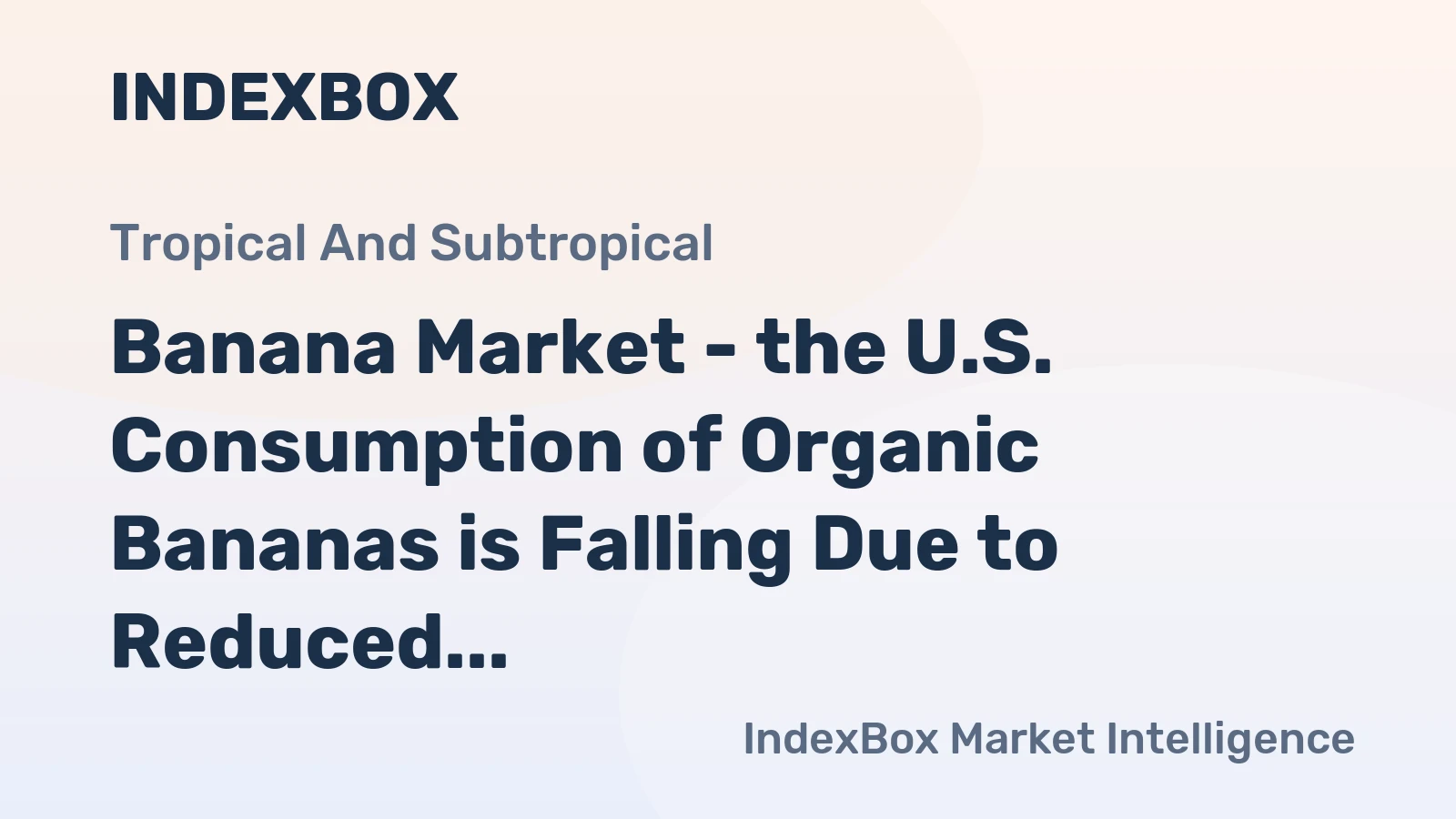 Banana Market - the U.S. Consumption of Organic Bananas is Falling Due to Reduced Imports