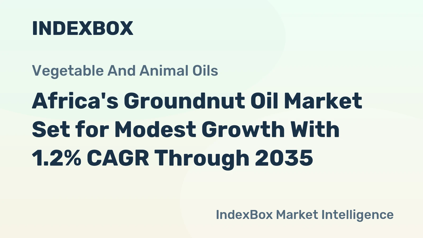 Africa's Groundnut Oil Market Set for Modest Growth With 1.2% CAGR Through 2035