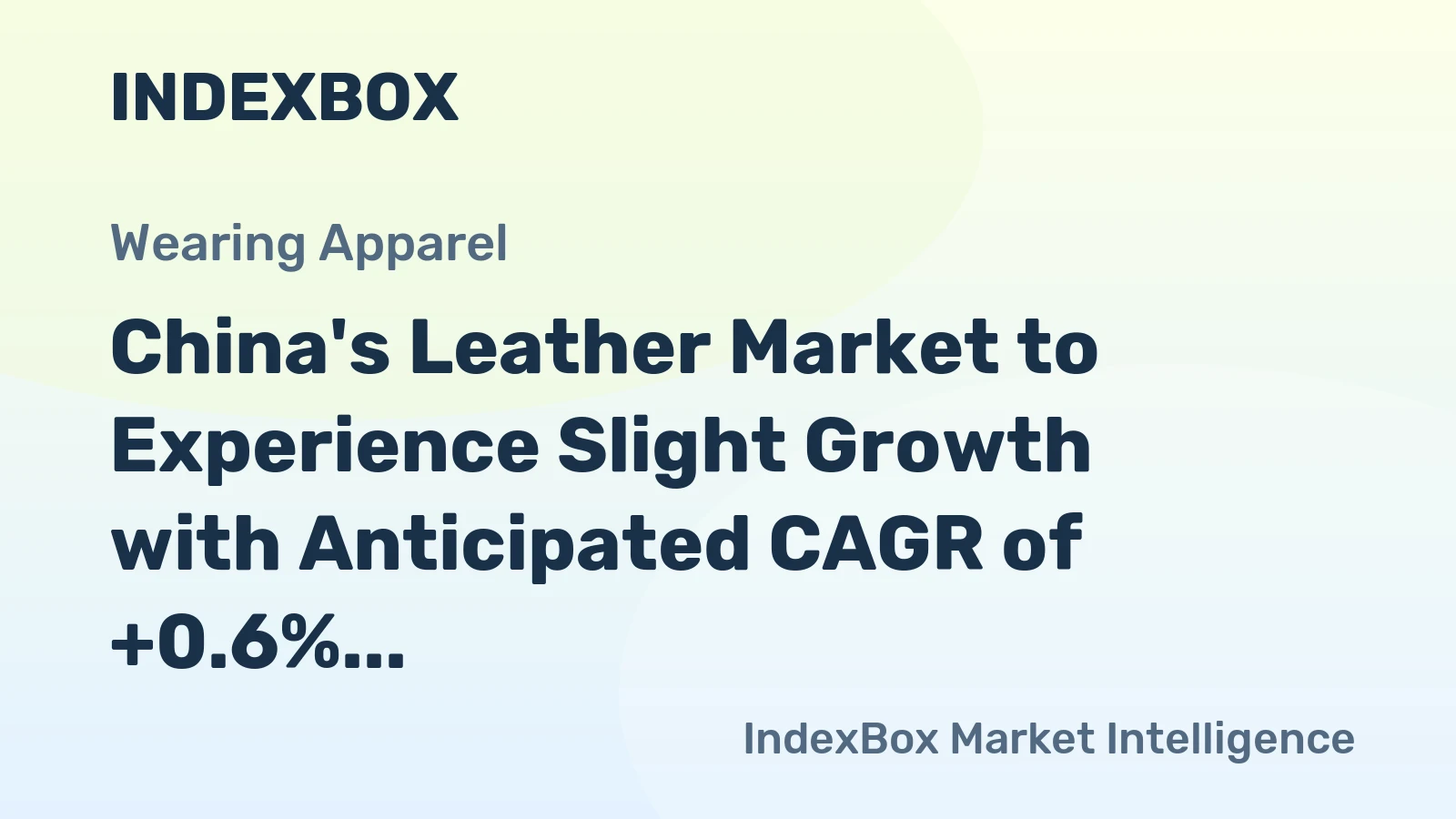 China's Leather Market to Experience Slight Growth with Anticipated CAGR of +0.6% from 2024 to 2035