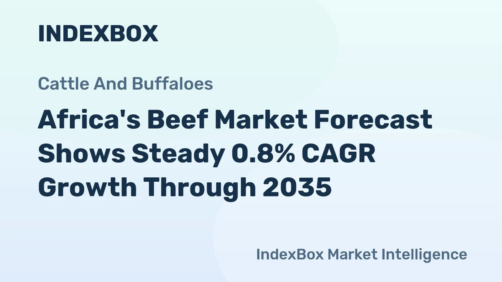 Africa's Beef Market Forecast Shows Steady 0.8% CAGR Growth Through 2035