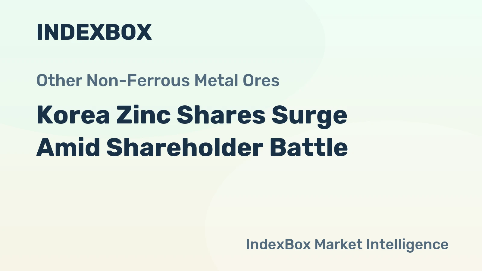 Korea Zinc Shares Surge Amid Shareholder Battle