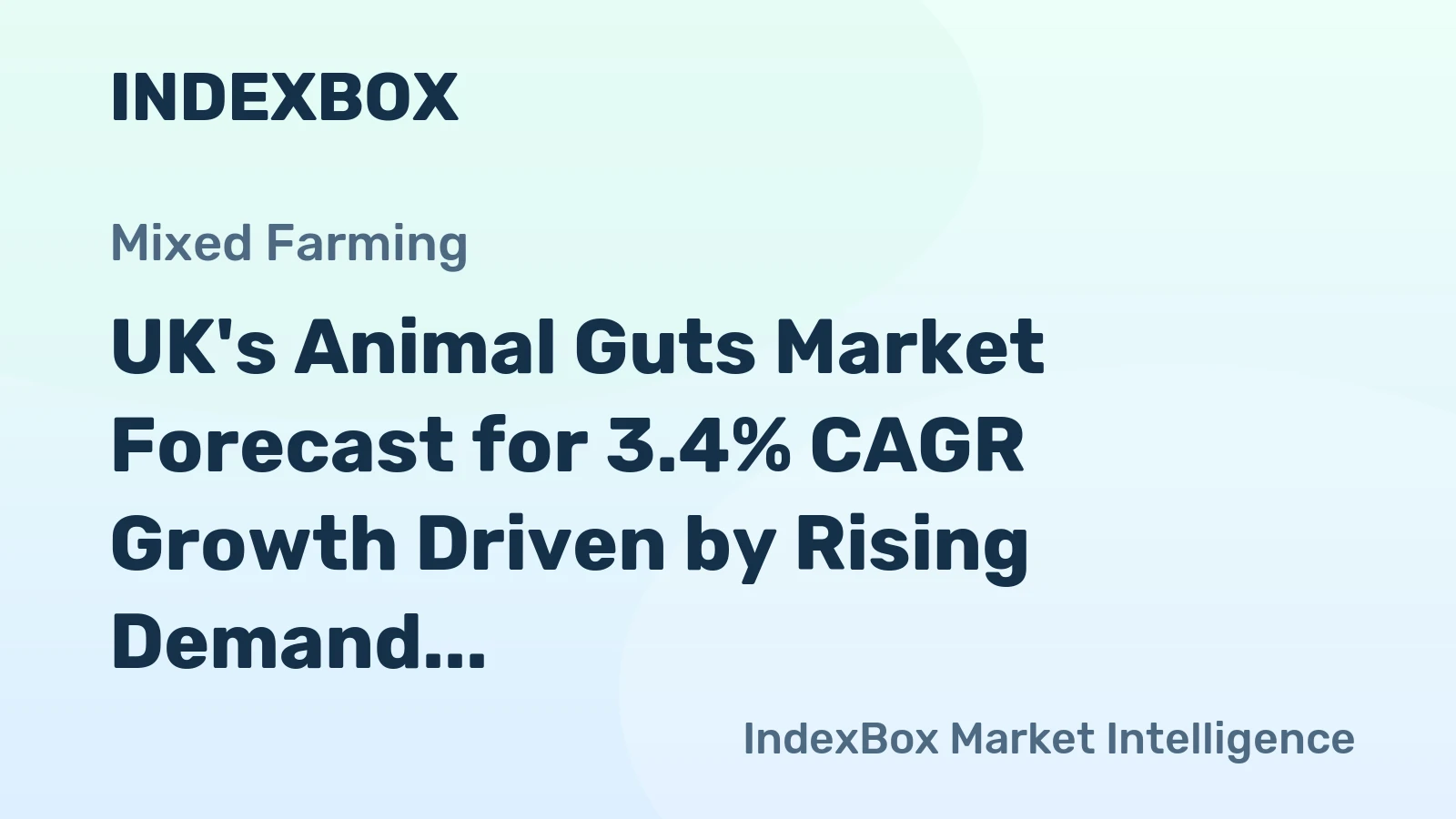 UK's Animal Guts Market Forecast for 3.4% CAGR Growth Driven by Rising Demand