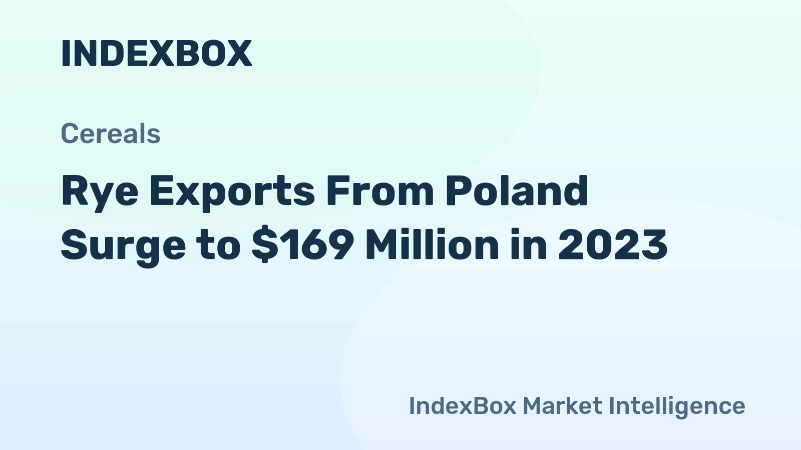 Rye Exports From Poland Surge to $169 Million in 2023