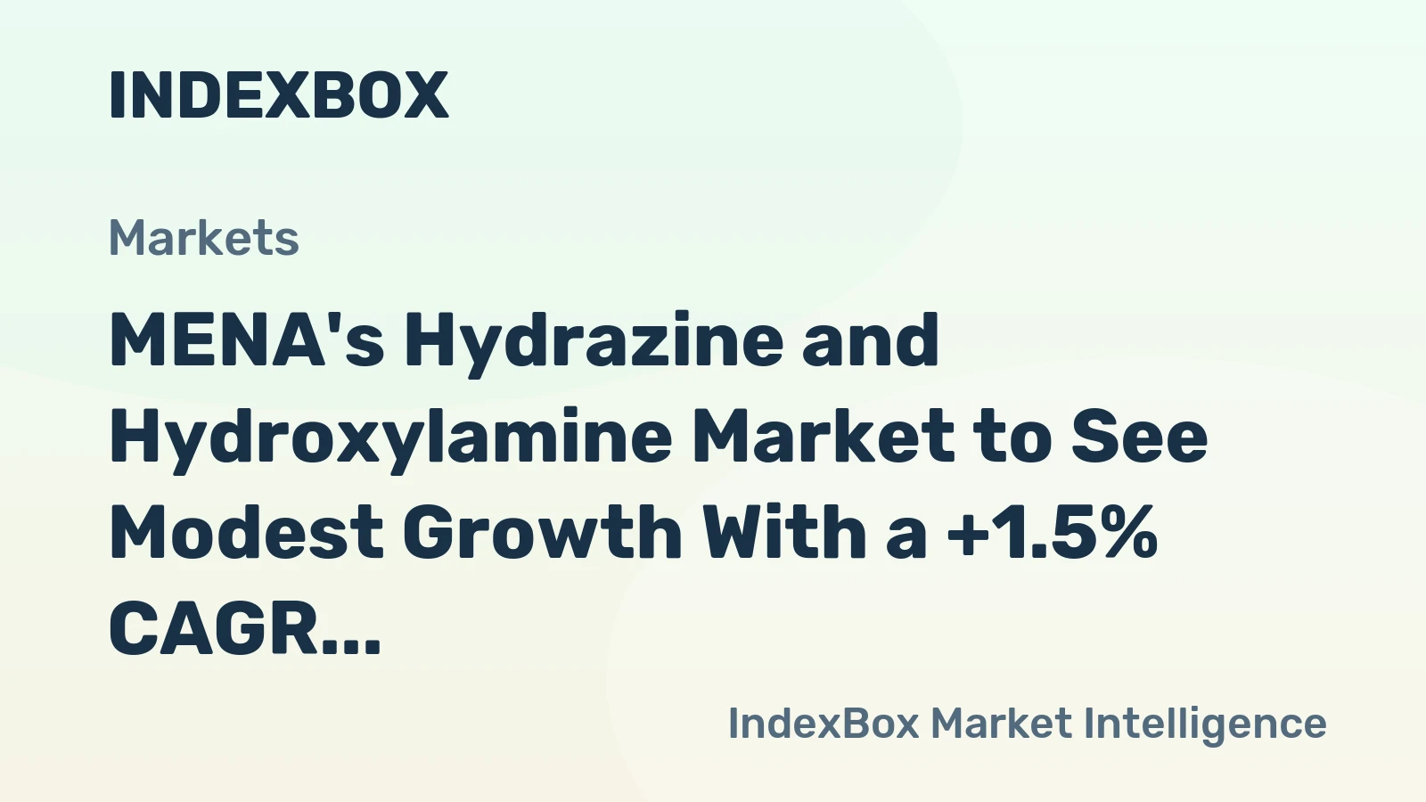 MENA's Hydrazine and Hydroxylamine Market to See Modest Growth With a +1.5% CAGR