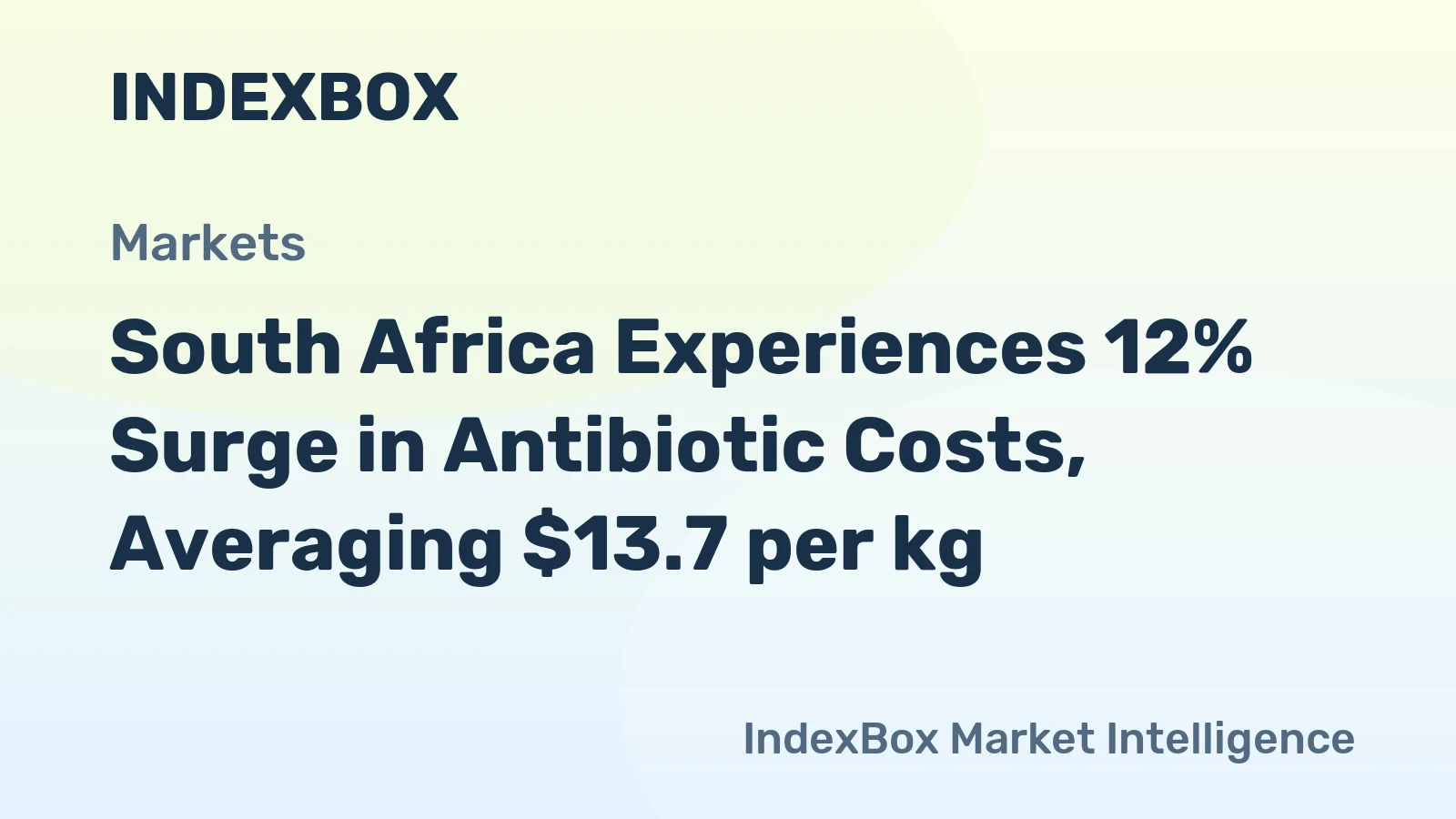 South Africa Experiences 12% Surge in Antibiotic Costs, Averaging $13.7 per kg