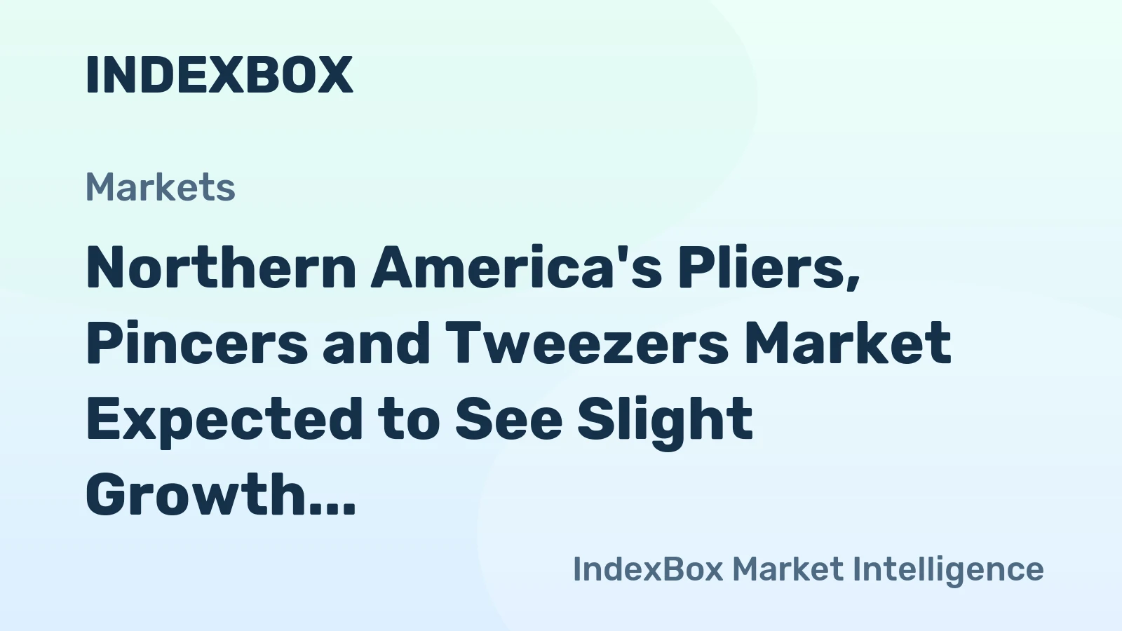 Northern America's Pliers, Pincers and Tweezers Market Expected to See Slight Growth with CAGR of +0.5%