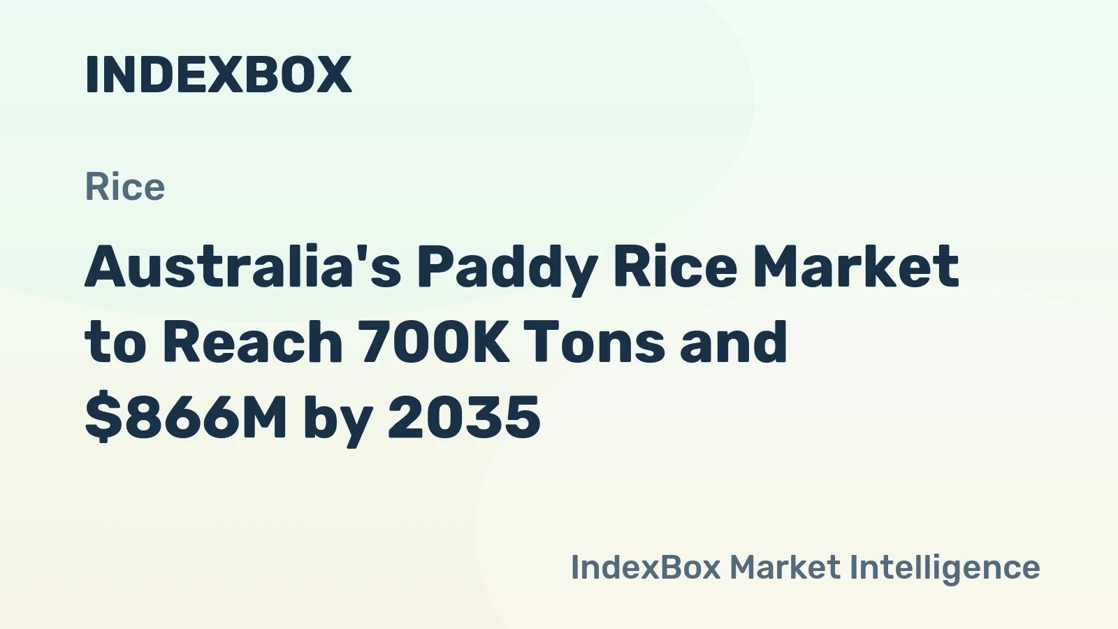 Australia's Paddy Rice Market to Reach 700K Tons and $866M by 2035