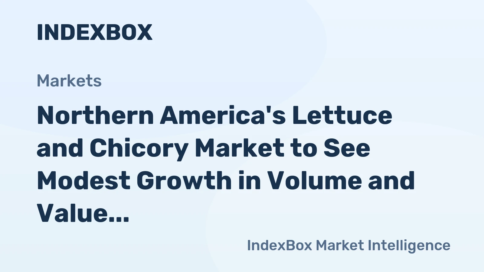 Northern America's Lettuce and Chicory Market to See Modest Growth in Volume and Value