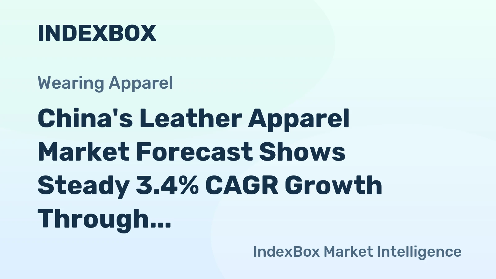 China's Leather Apparel Market Forecast Shows Steady 3.4% CAGR Growth Through 2035