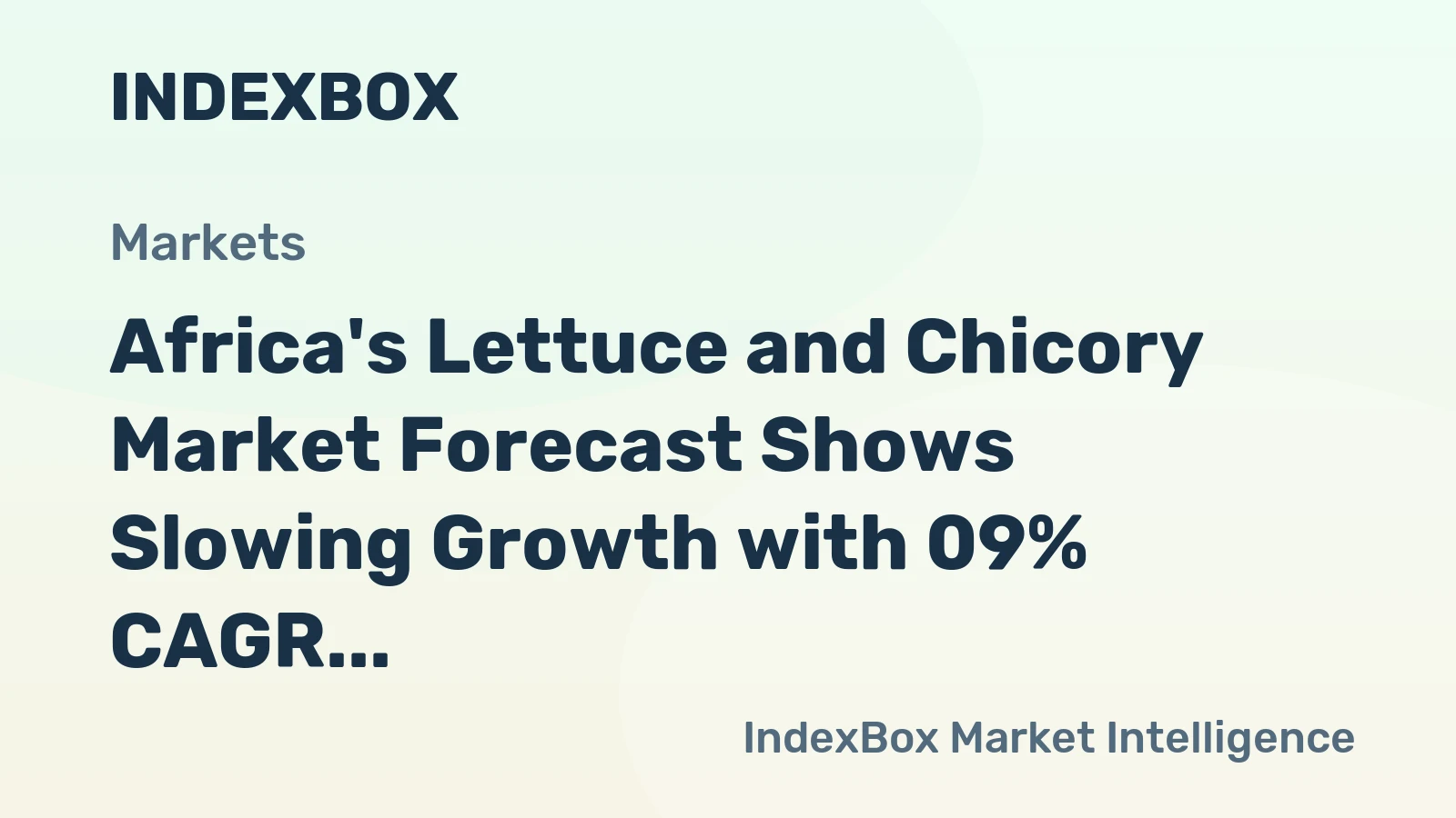 Africa's Lettuce and Chicory Market Forecast Shows Slowing Growth with 09% CAGR Through 2035