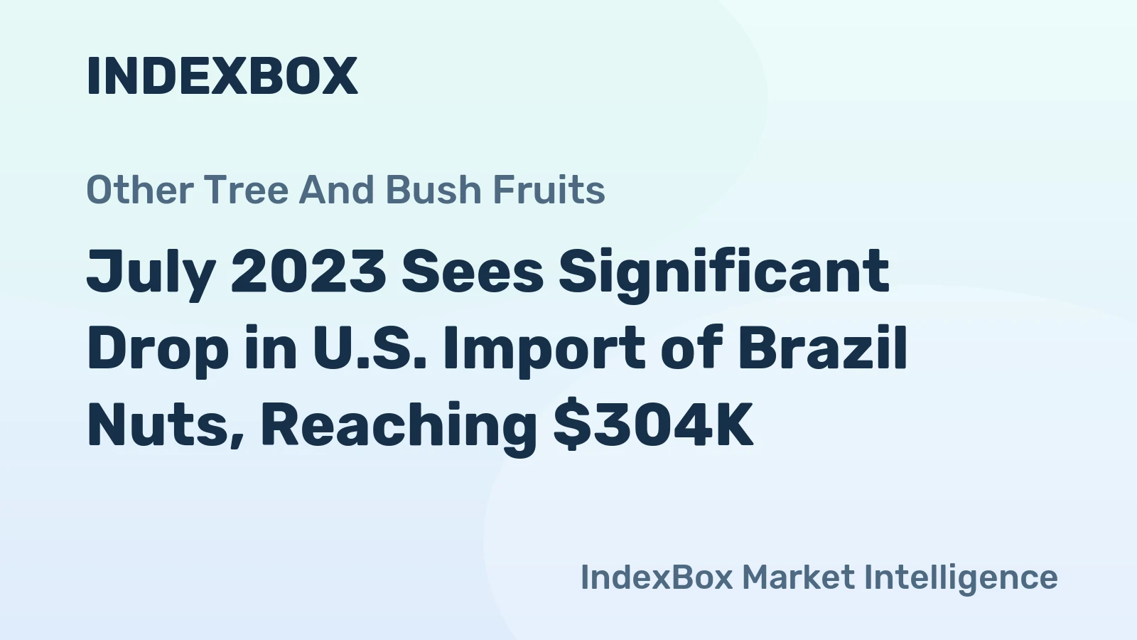 July 2023 Sees Significant Drop in U.S. Import of Brazil Nuts, Reaching $304K