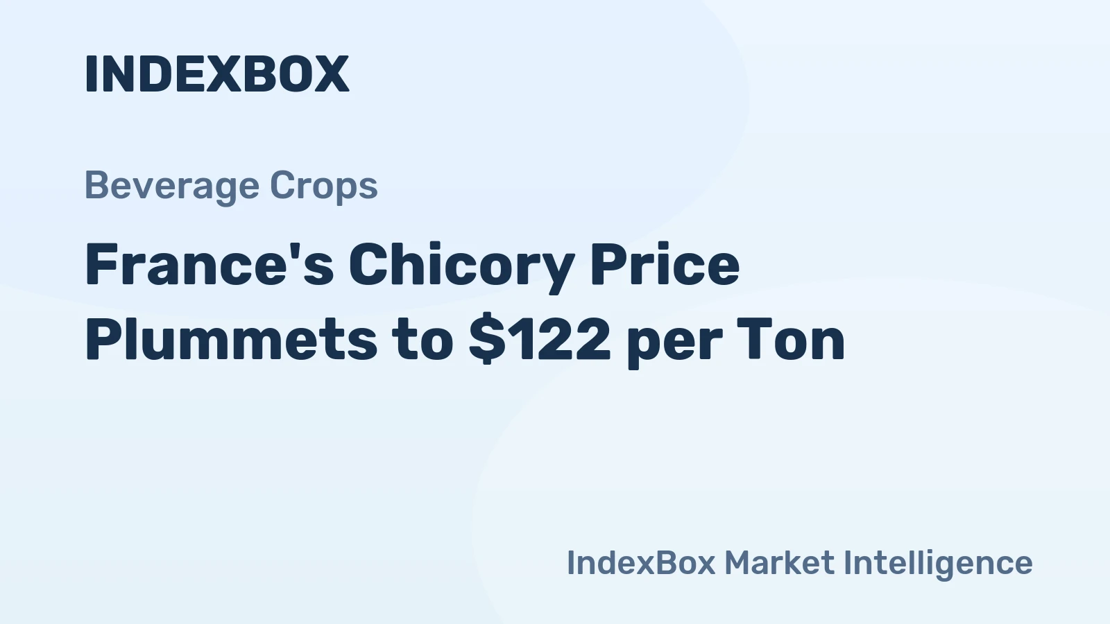France's Chicory Price Plummets to $122 per Ton