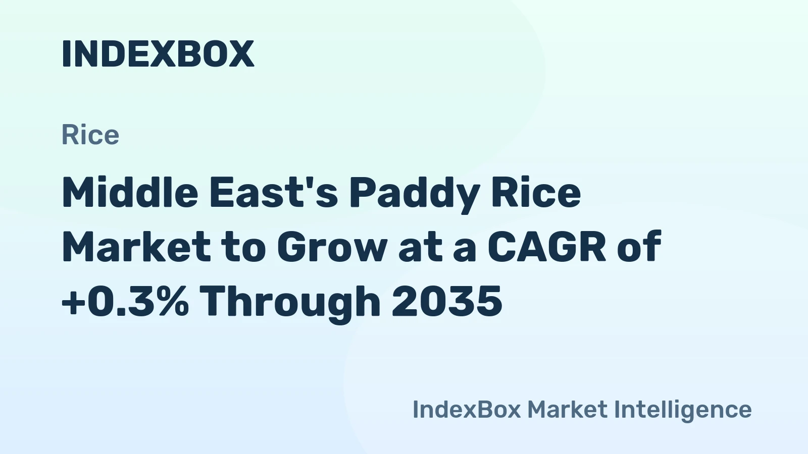 Middle East's Paddy Rice Market to Grow at a CAGR of +0.3% Through 2035