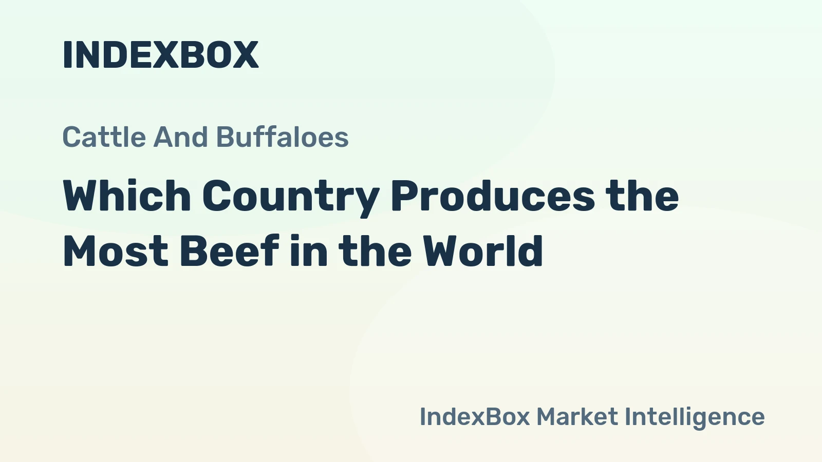 Which Country Produces the Most Beef in the World?