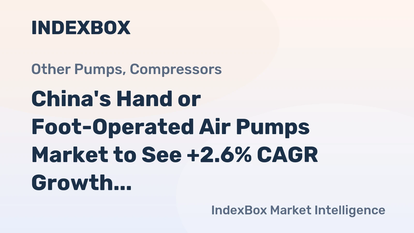 China's Hand or Foot-Operated Air Pumps Market to See +2.6% CAGR Growth Through 2035