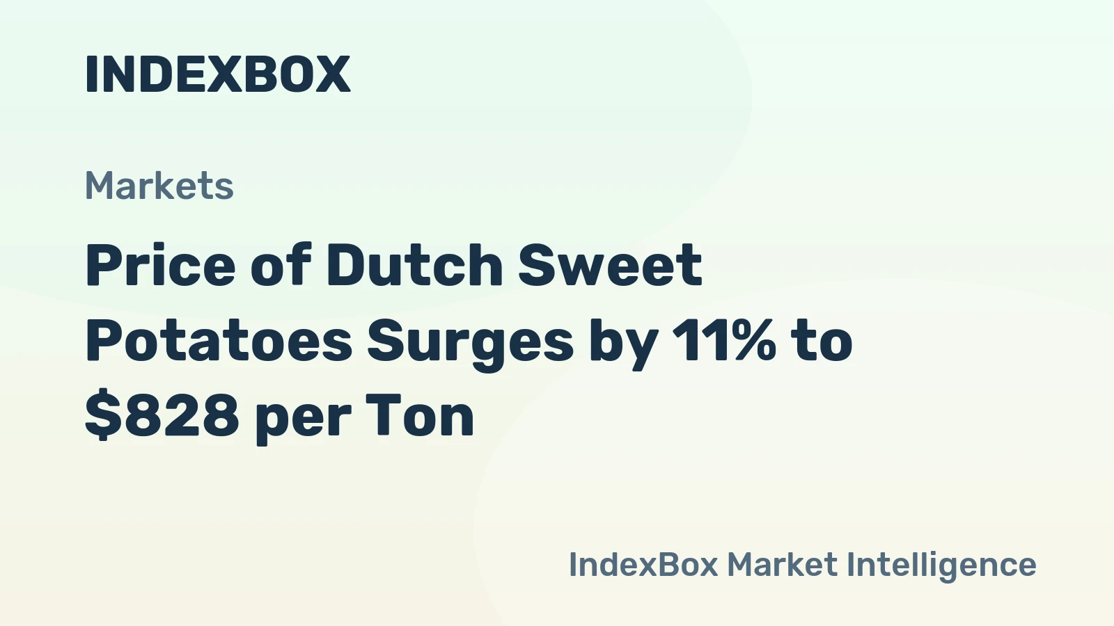 Price of Dutch Sweet Potatoes Surges by 11% to $828 per Ton