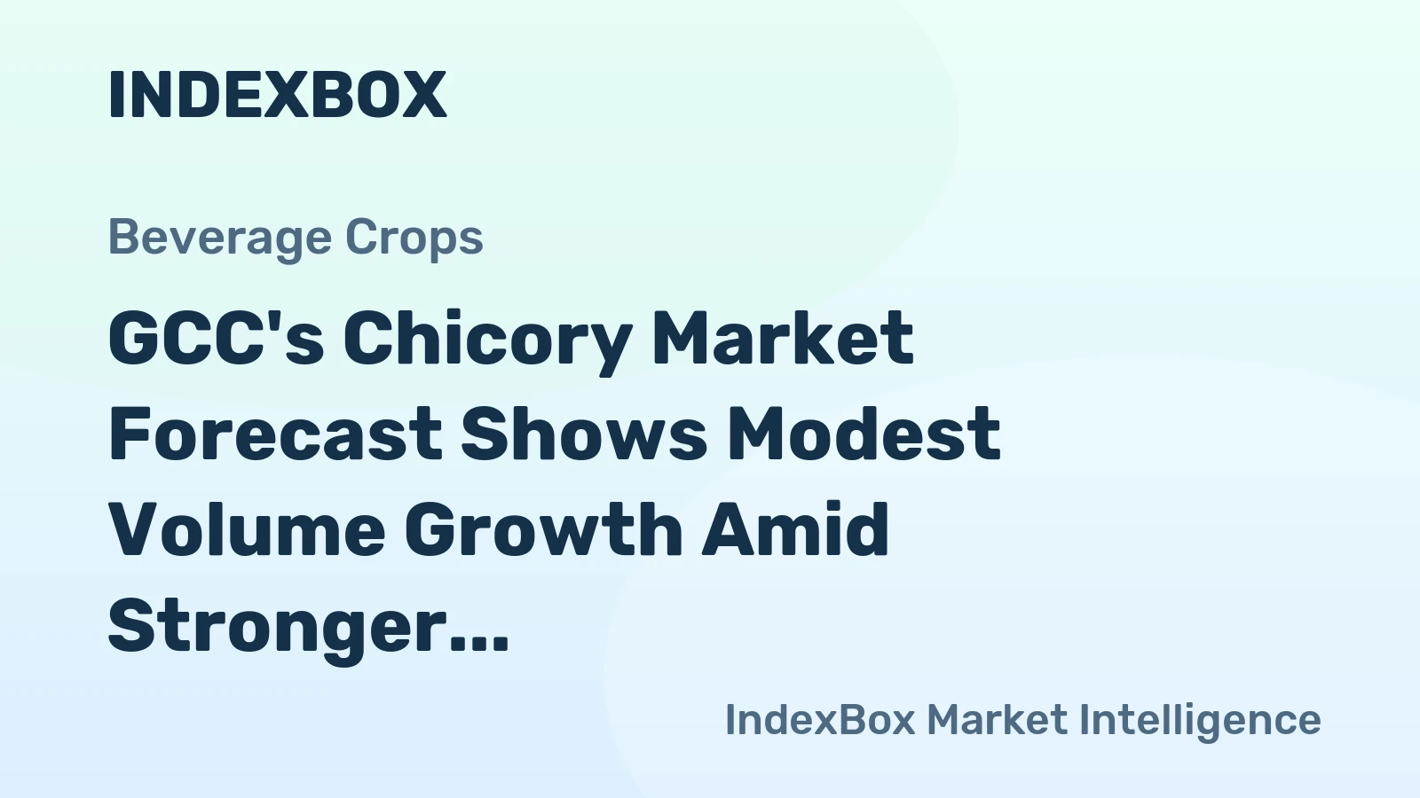 GCC's Chicory Market Forecast Shows Modest Volume Growth Amid Stronger Value Gains