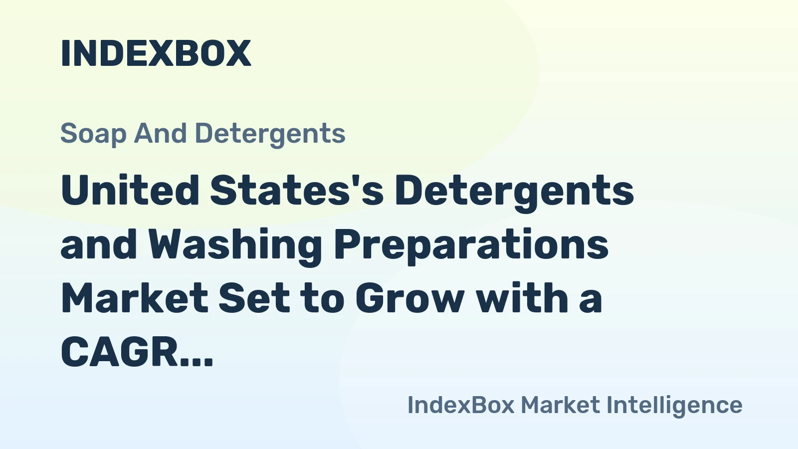 United States's Detergents and Washing Preparations Market Set to Grow with a CAGR of +1.7% from 2024 to 2035
