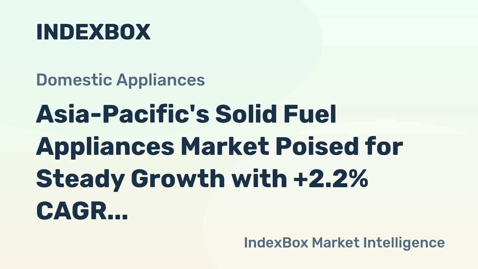 Asia-Pacific's Solid Fuel Appliances Market Poised for Steady Growth with +2.2% CAGR in Value