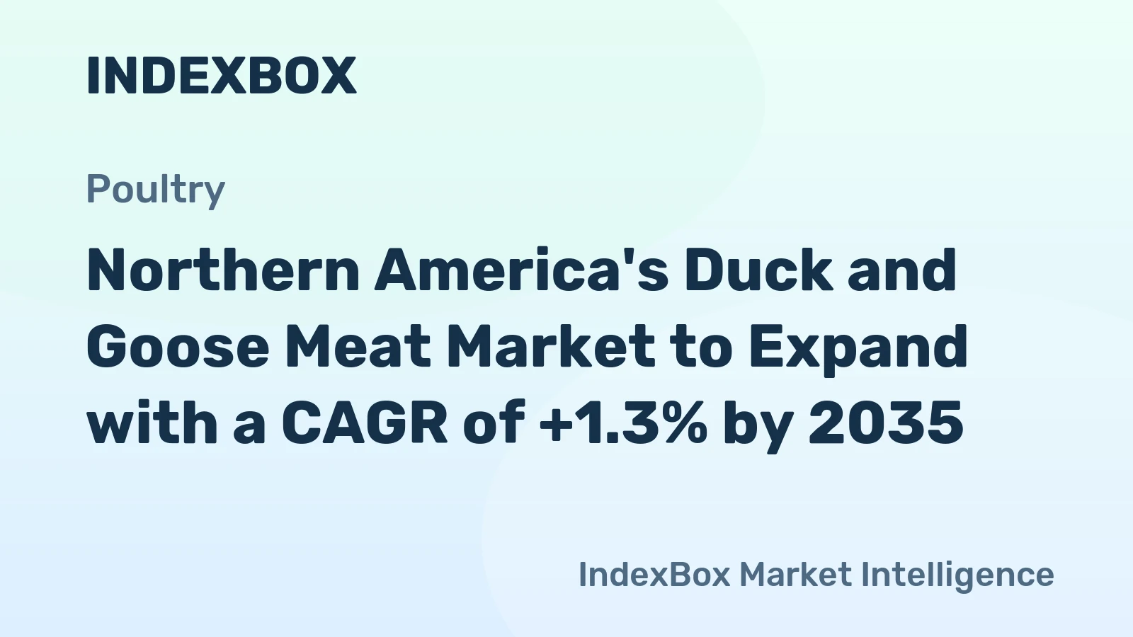 Northern America's Duck and Goose Meat Market to Expand with a CAGR of +1.3% by 2035