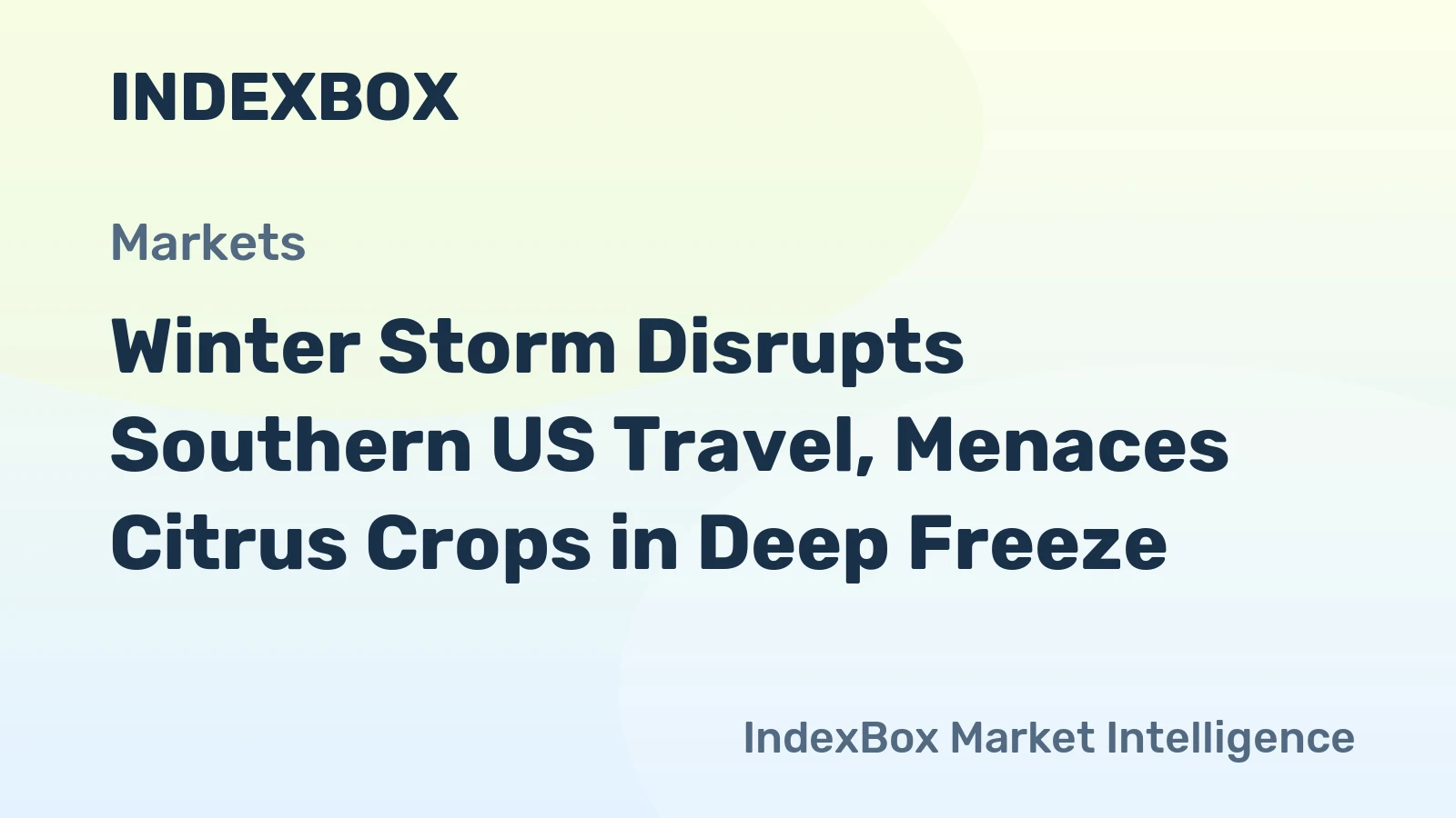 Winter Storm Disrupts Southern US Travel, Menaces Citrus Crops in Deep Freeze
