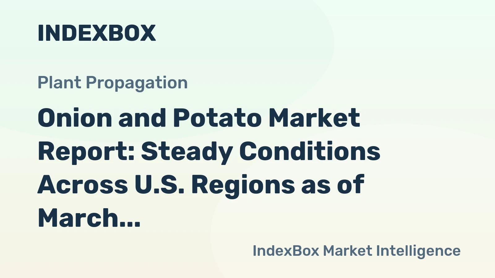 Onion and Potato Market Report: Steady Conditions Across U.S. Regions as of March 2026