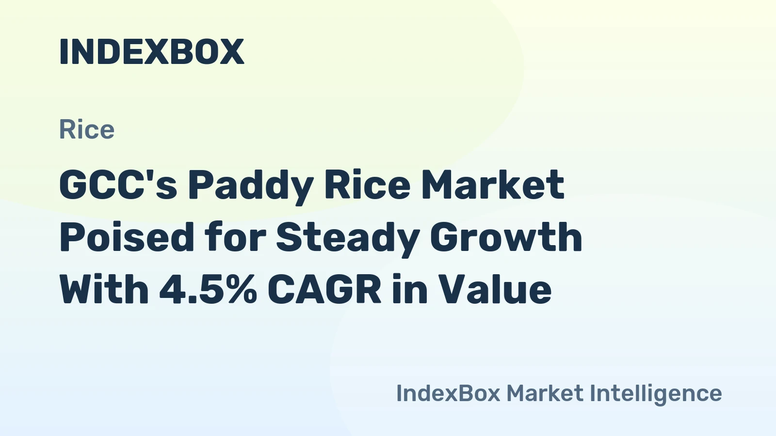 GCC's Paddy Rice Market Poised for Steady Growth With 4.5% CAGR in Value