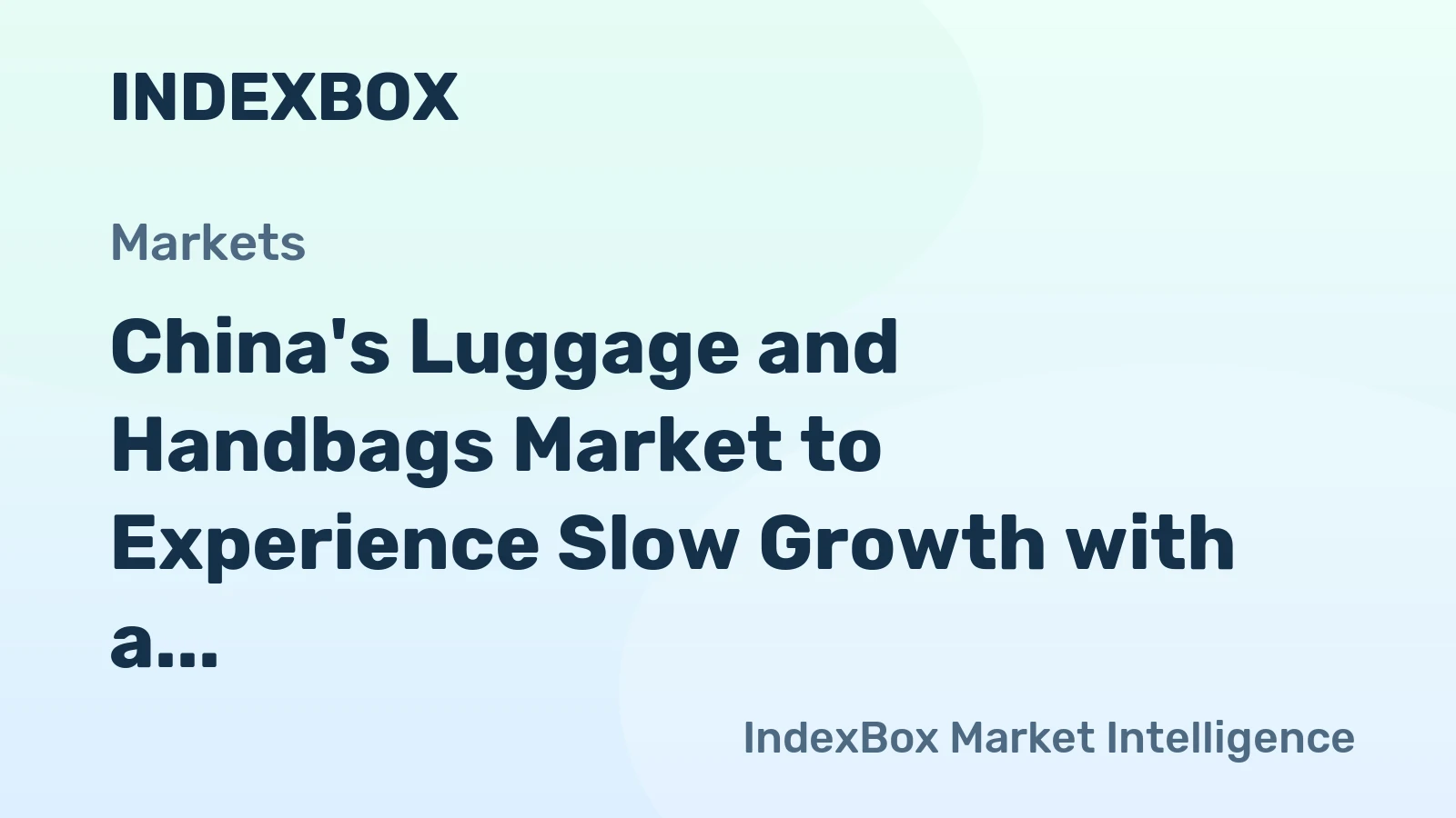 China's Luggage and Handbags Market to Experience Slow Growth with a CAGR of +0.2% from 2024-2035