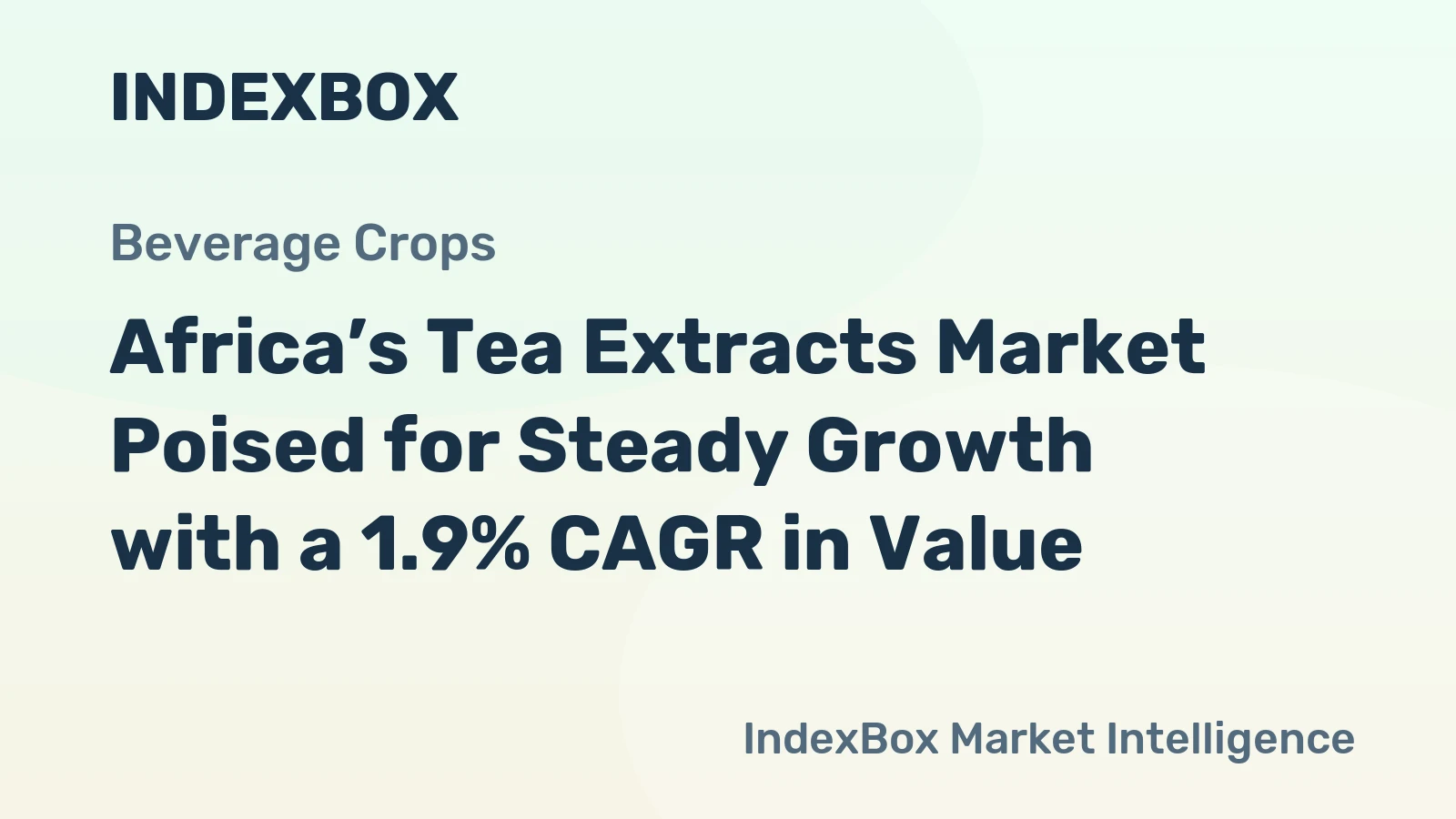 Africa’s Tea Extracts Market Poised for Steady Growth with a 1.9% CAGR in Value