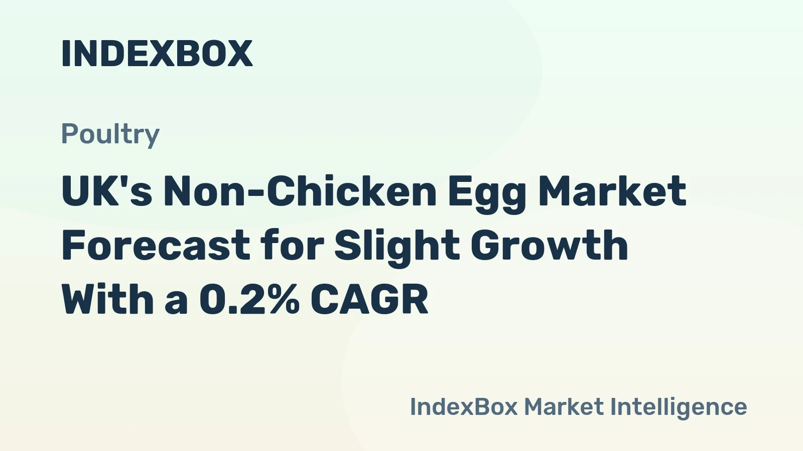 UK's Non-Chicken Egg Market Forecast for Slight Growth With a 0.2% CAGR