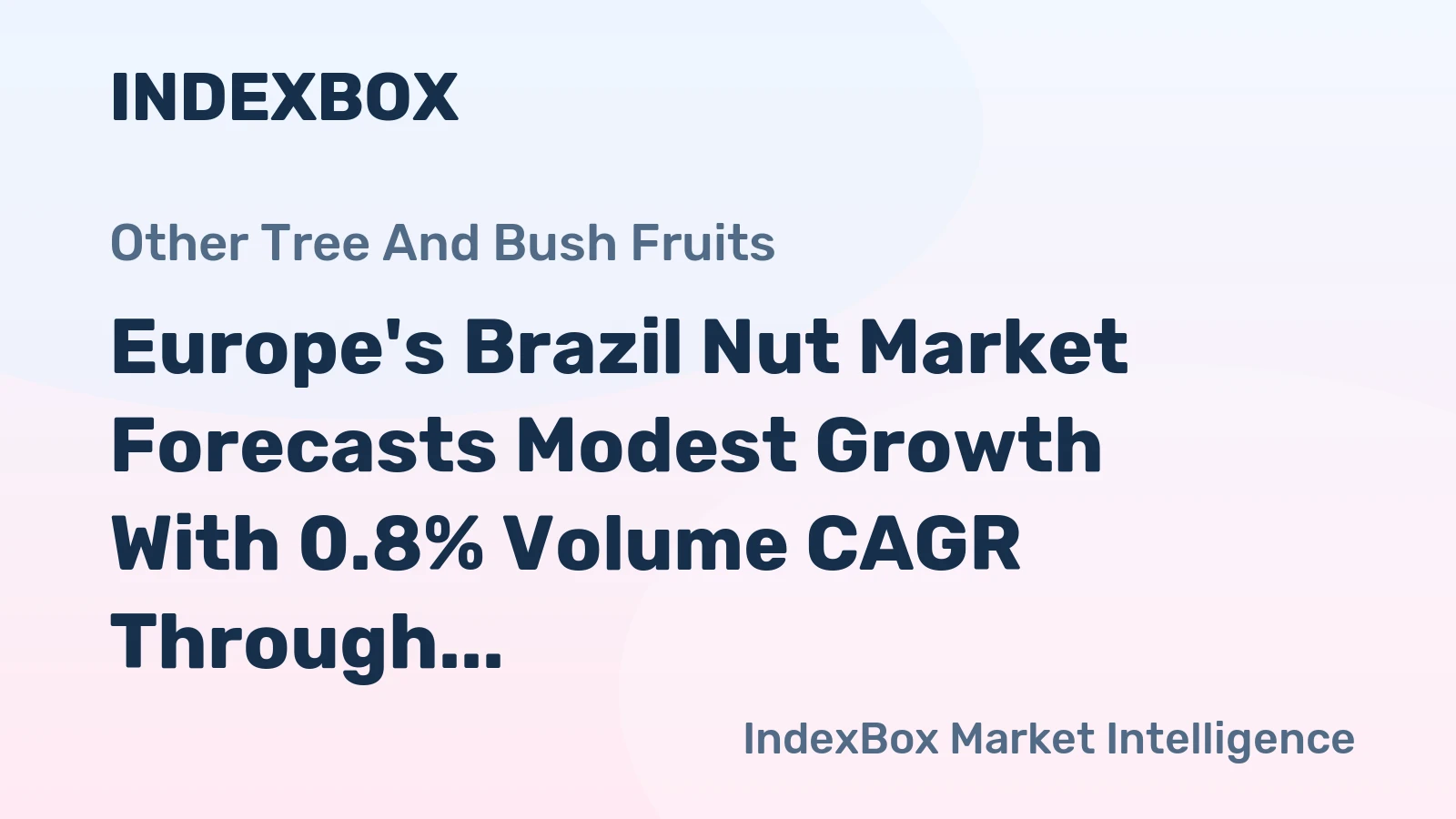 Europe's Brazil Nut Market Forecasts Modest Growth With 0.8% Volume CAGR Through 2035