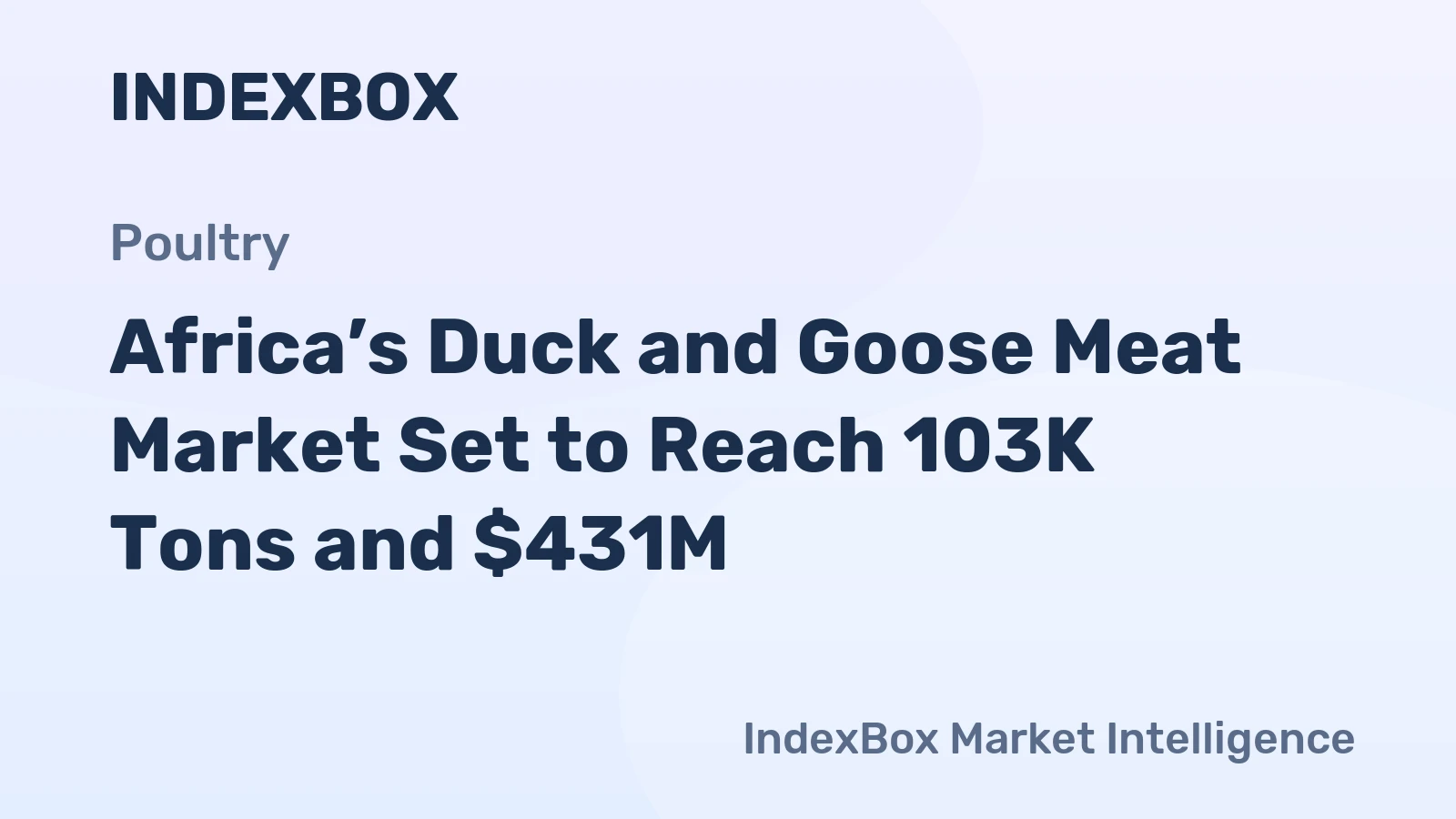 Africa’s Duck and Goose Meat Market Set to Reach 103K Tons and $431M