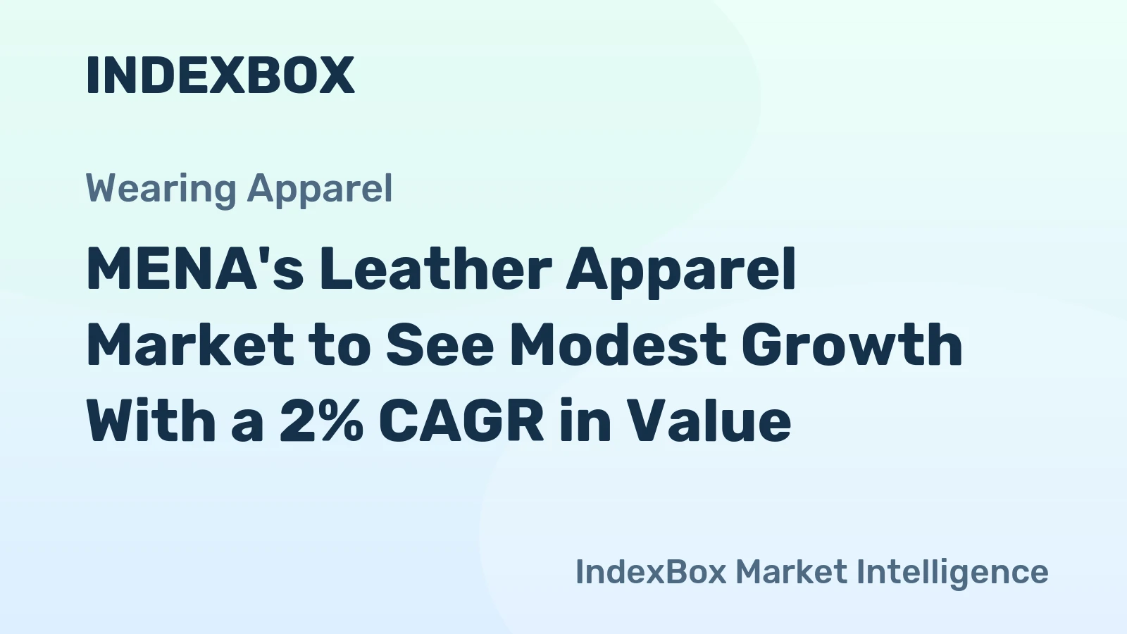 MENA's Leather Apparel Market to See Modest Growth With a 2% CAGR in Value