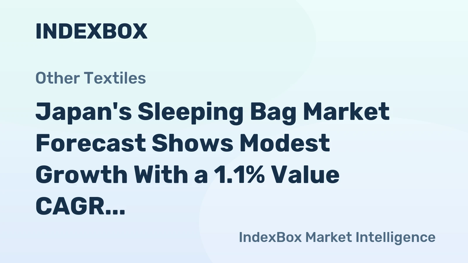 Japan's Sleeping Bag Market Forecast Shows Modest Growth With a 1.1% Value CAGR