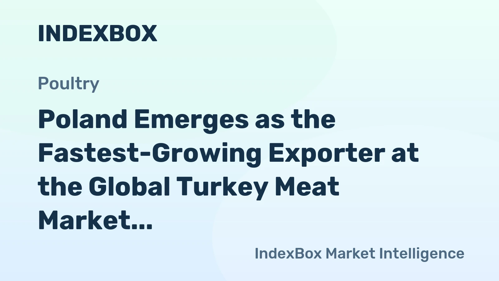 Poland Emerges as the Fastest-Growing Exporter at the Global Turkey Meat Market