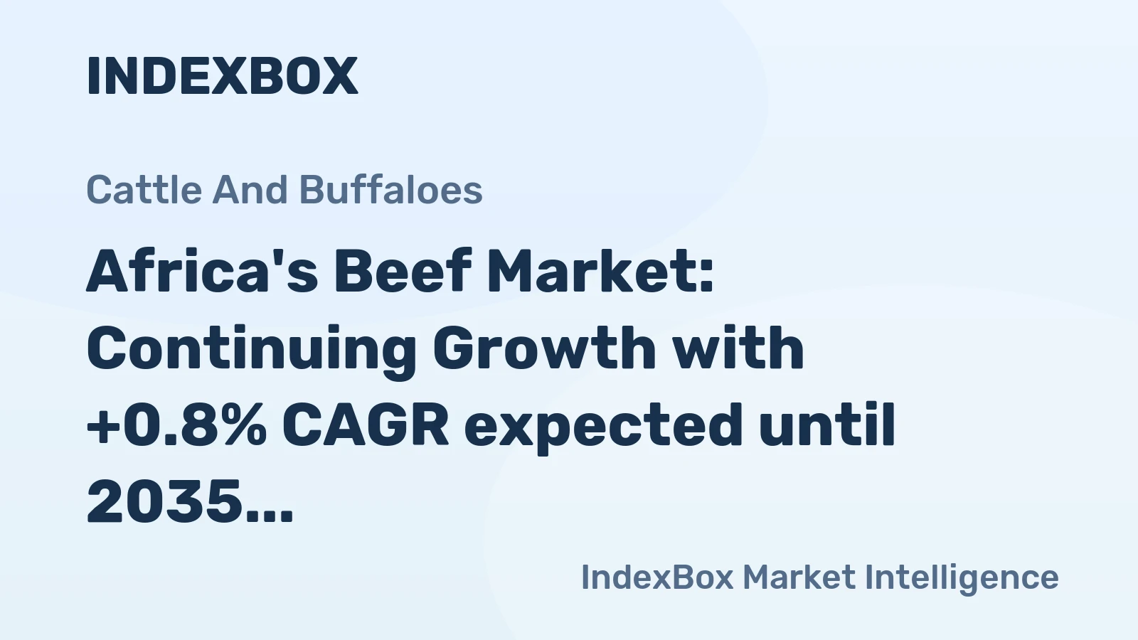 Africa's Beef Market: Continuing Growth with +0.8% CAGR expected until 2035