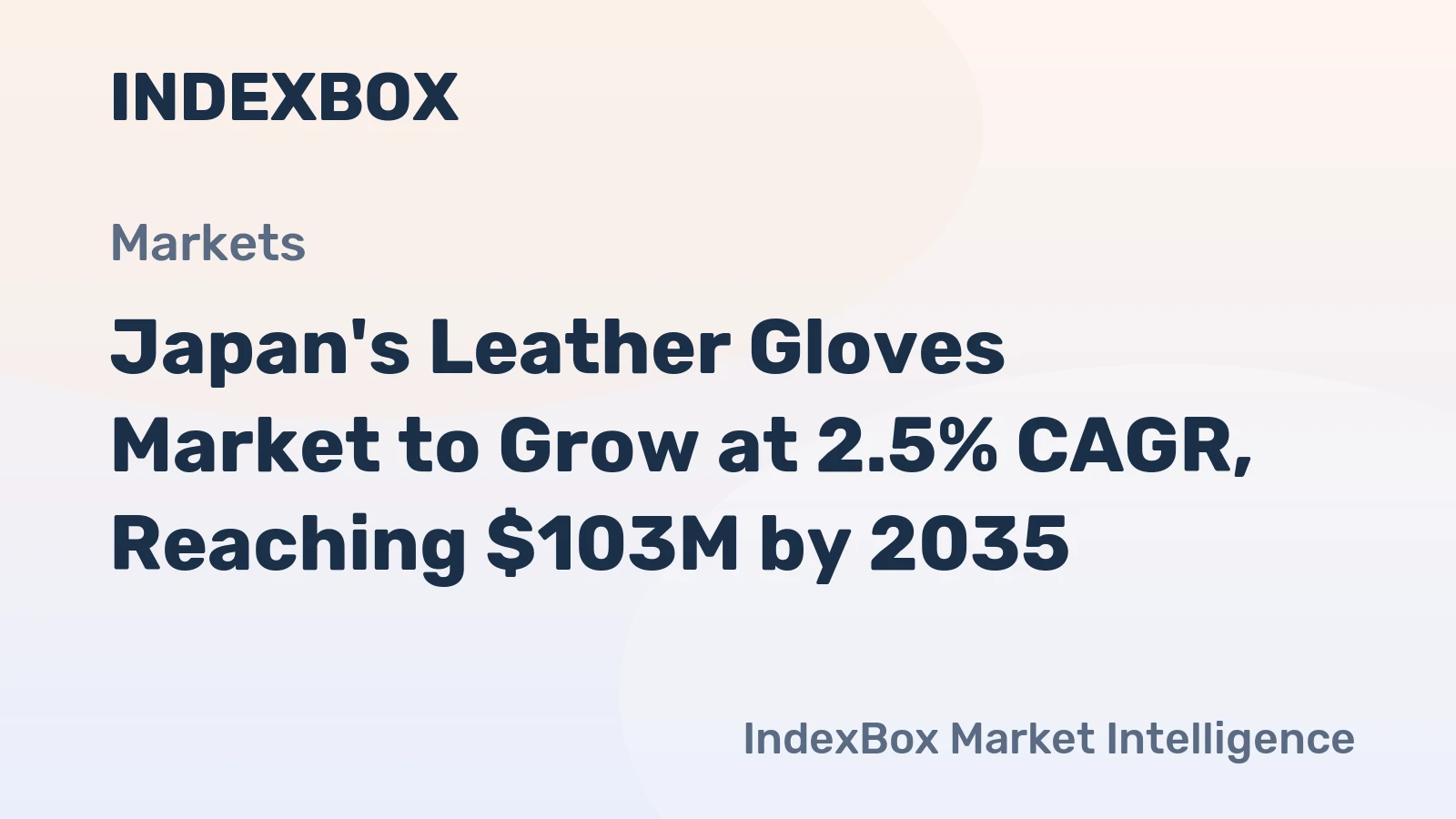 Japan's Leather Gloves Market to Grow at 2.5% CAGR, Reaching $103M by 2035