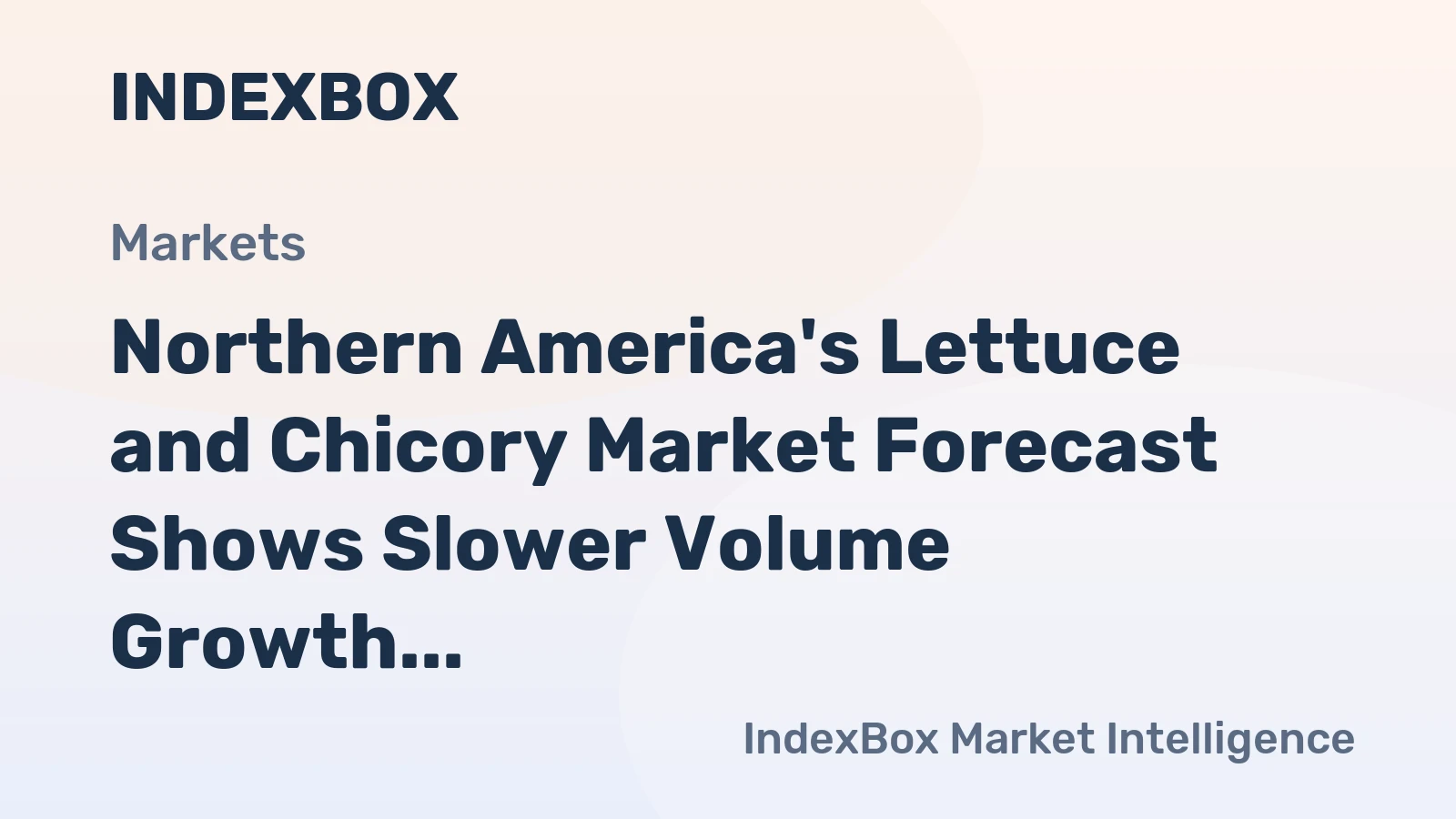 Northern America's Lettuce and Chicory Market Forecast Shows Slower Volume Growth at +0.5% CAGR but Stronger Value Gains