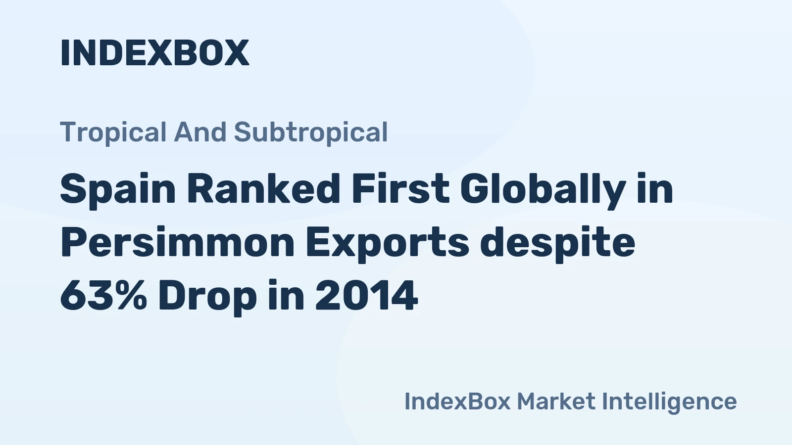 Spain Ranked First Globally in Persimmon Exports despite 63% Drop in 2014