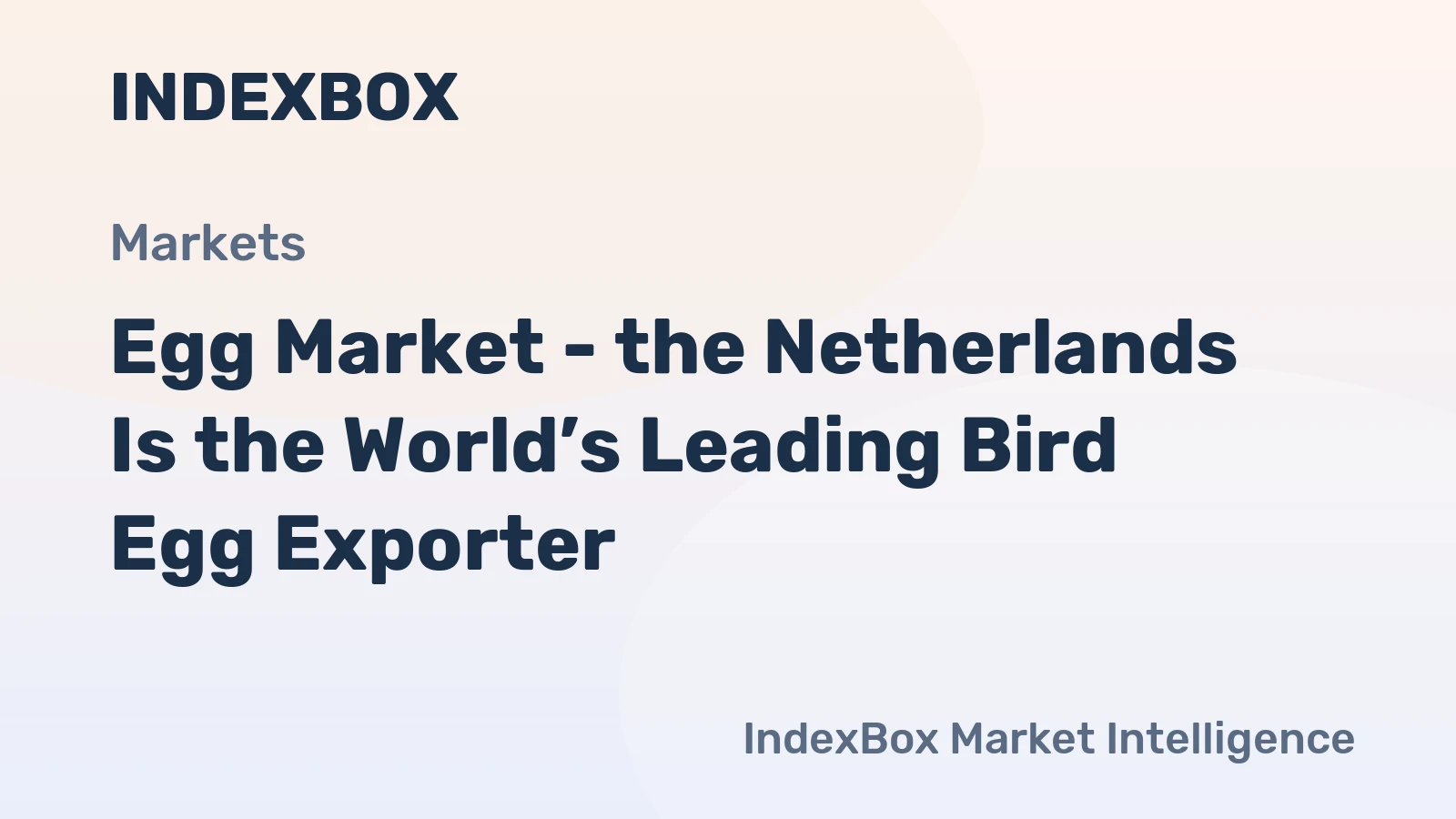 Egg Market - the Netherlands Is the World’s Leading Bird Egg Exporter