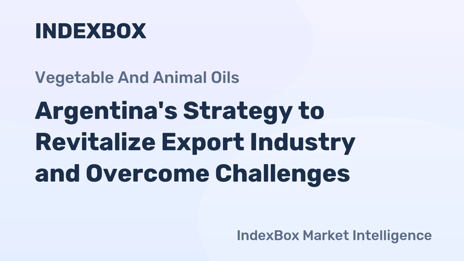 Argentina's Strategy to Revitalize Export Industry and Overcome Challenges