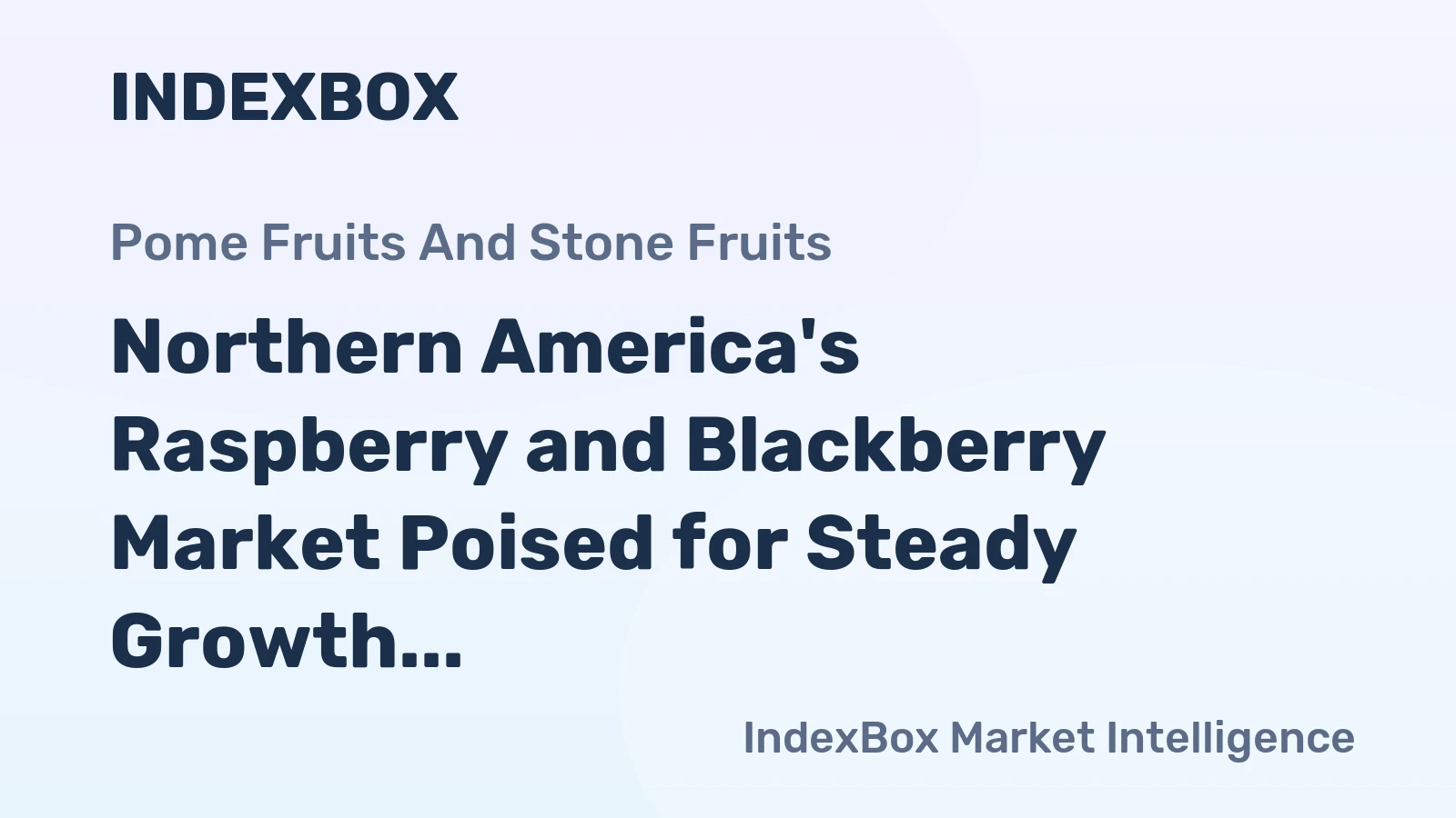 Northern America's Raspberry and Blackberry Market Poised for Steady Growth with 3.5% CAGR