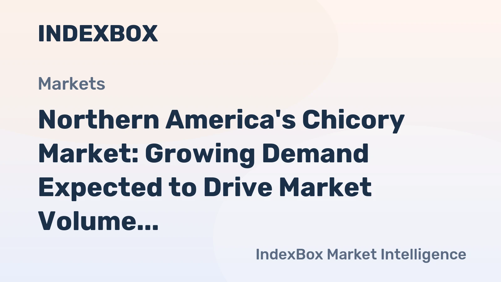 Northern America's Chicory Market: Growing Demand Expected to Drive Market Volume to 1.2K Tons and Value to $1.6M by 2035
