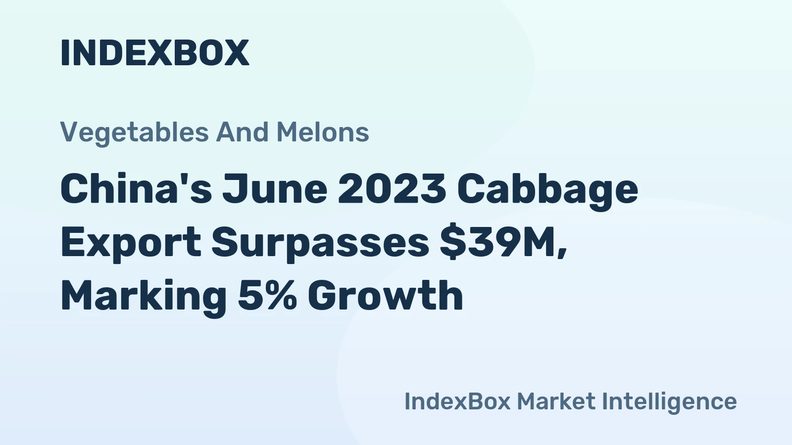 China's June 2023 Cabbage Export Surpasses $39M, Marking 5% Growth