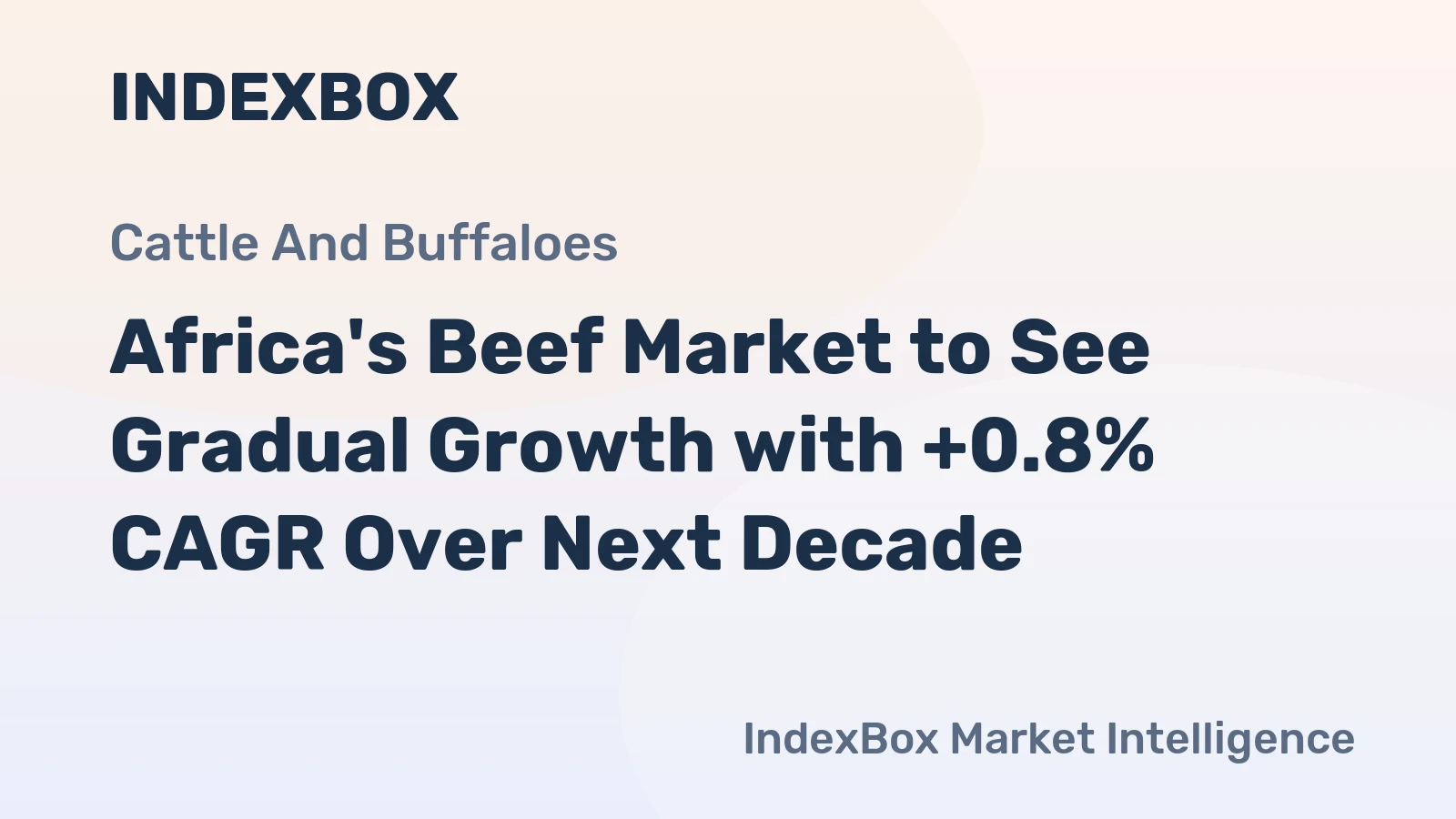 Africa's Beef Market to See Gradual Growth with +0.8% CAGR Over Next Decade