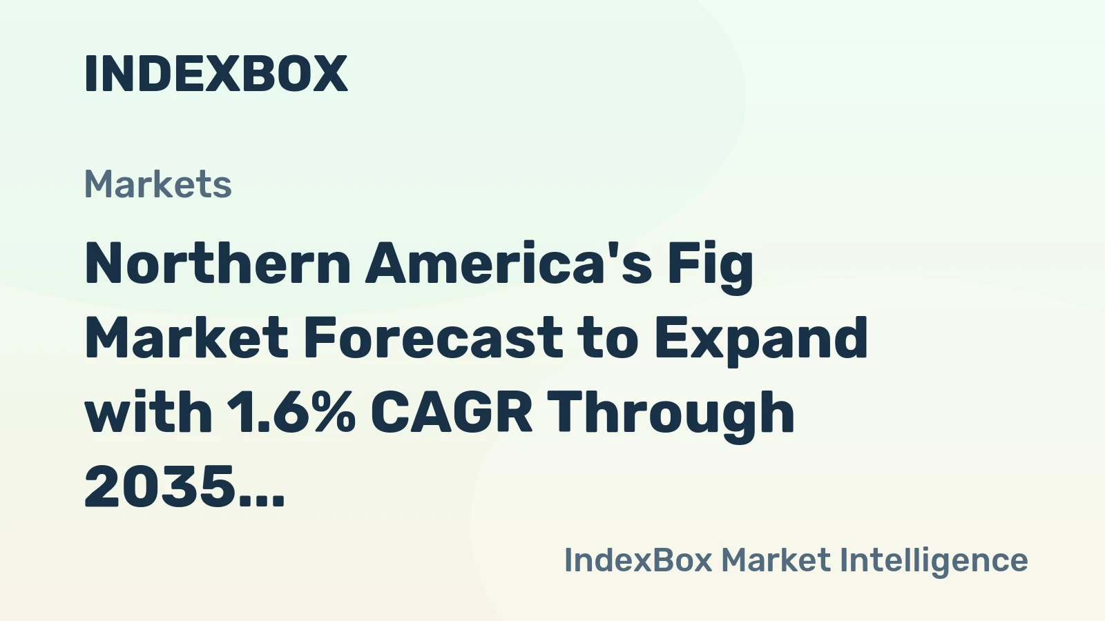 Northern America's Fig Market Forecast to Expand with 1.6% CAGR Through 2035