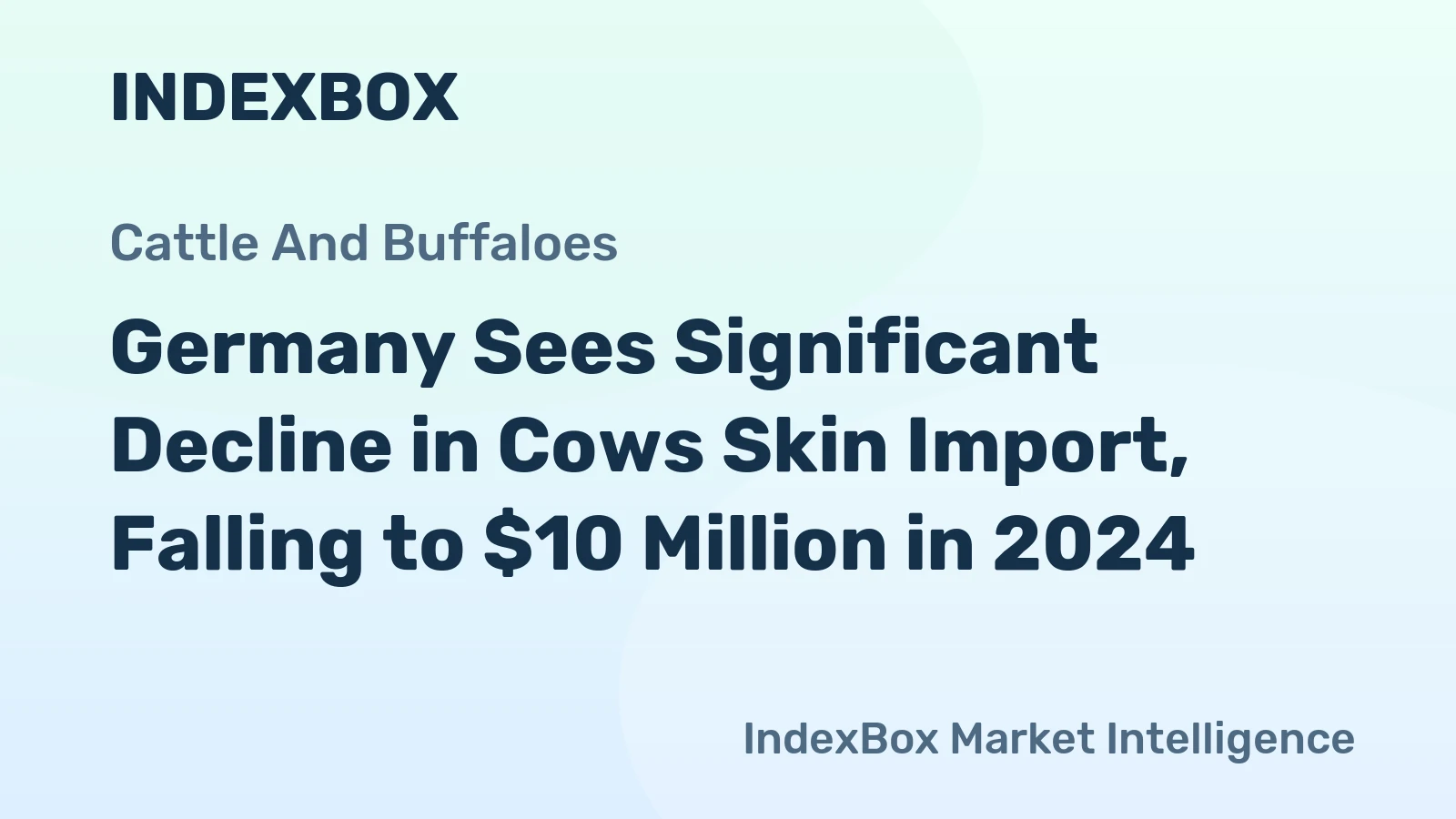 Germany Sees Significant Decline in Cows Skin Import, Falling to $10 Million in 2024