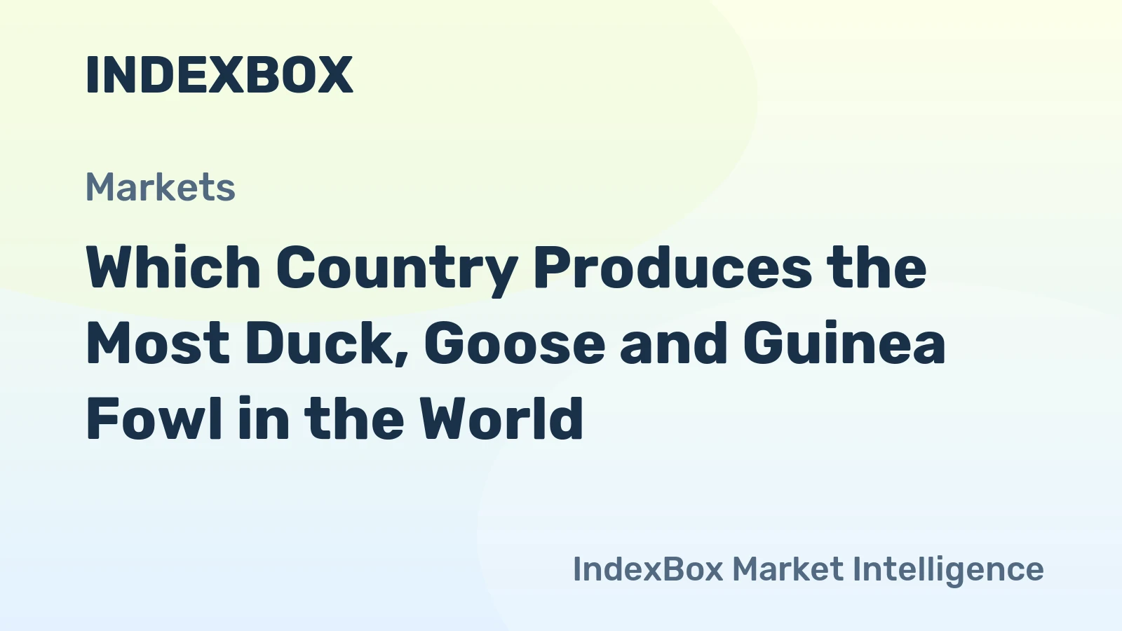 Which Country Produces the Most Duck, Goose and Guinea Fowl in the World?