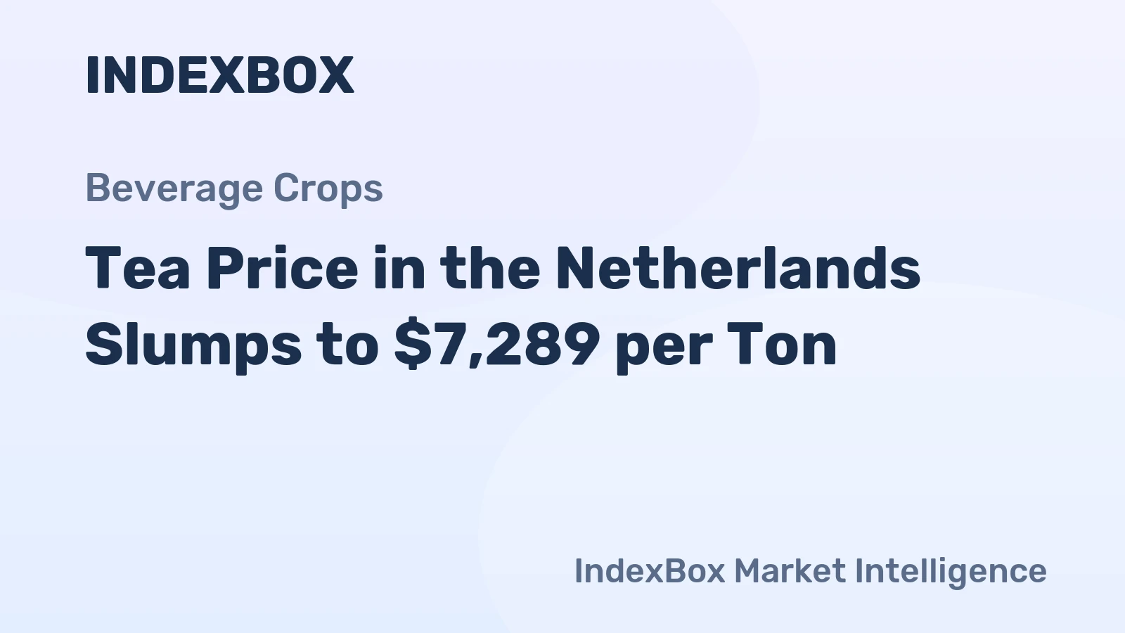 Tea Price in the Netherlands Slumps to $7,289 per Ton