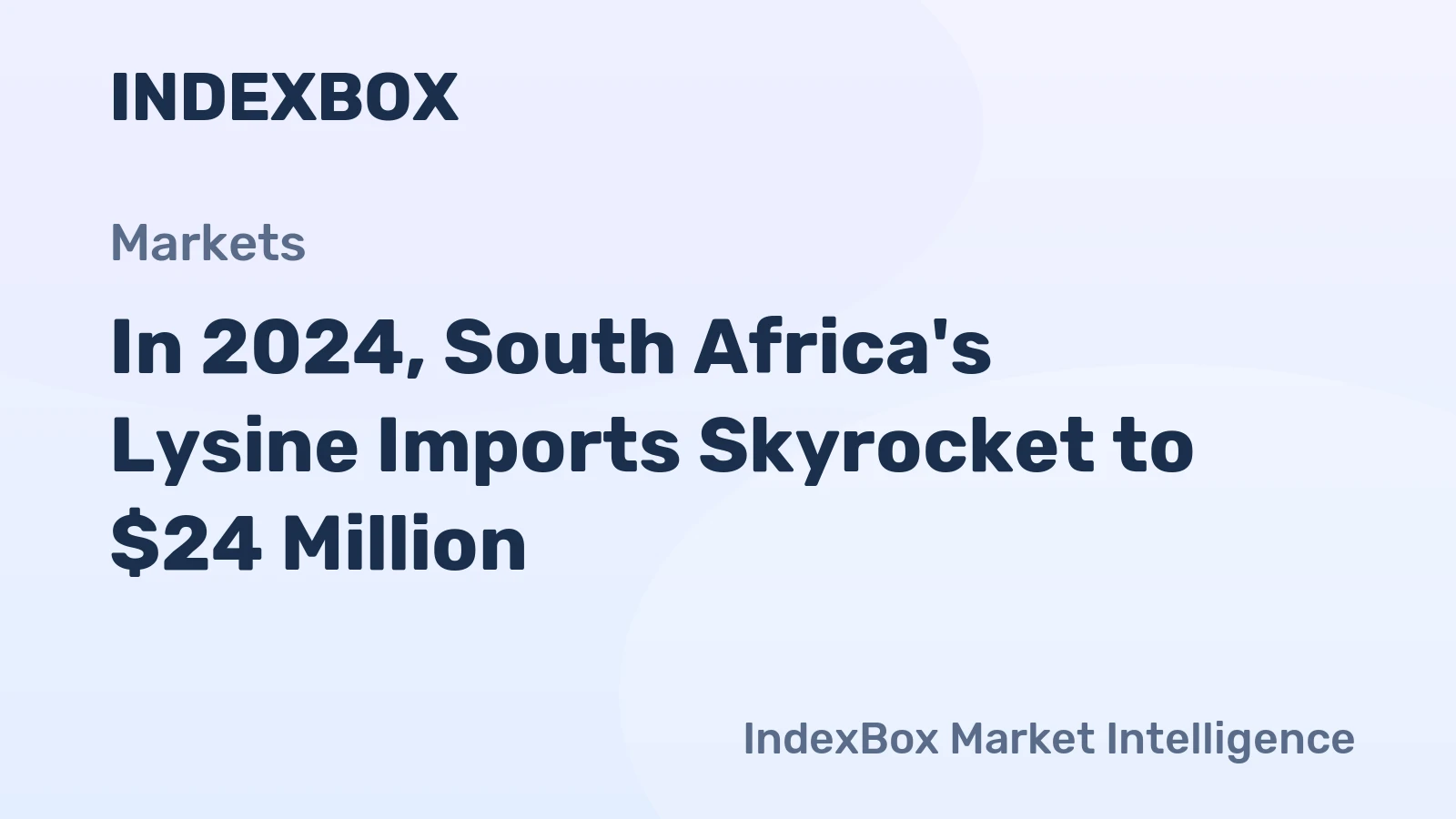 In 2024, South Africa's Lysine Imports Skyrocket to $24 Million